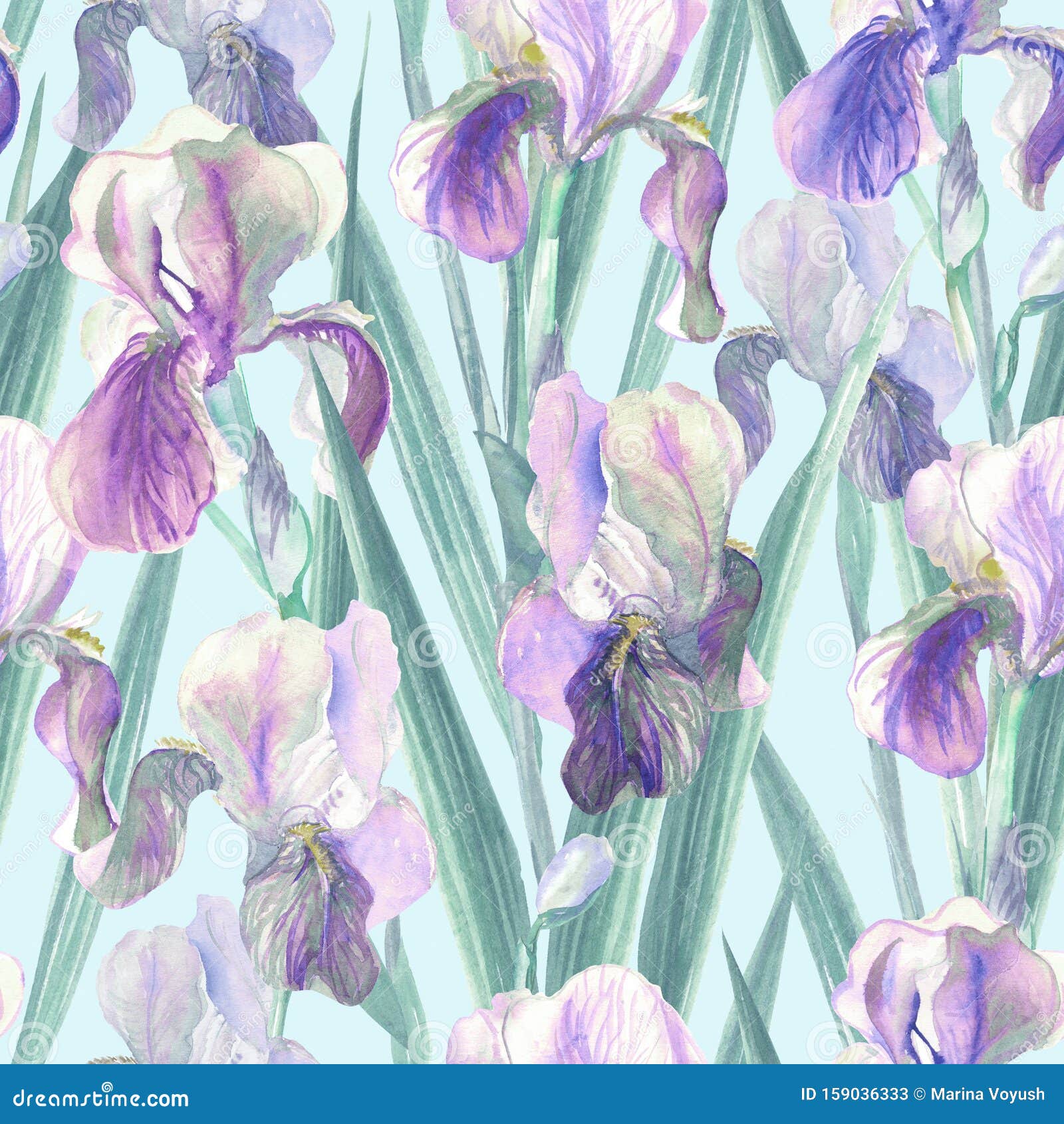 Seamless Pattern of Iris Flowers Stock Illustration - Illustration of ...