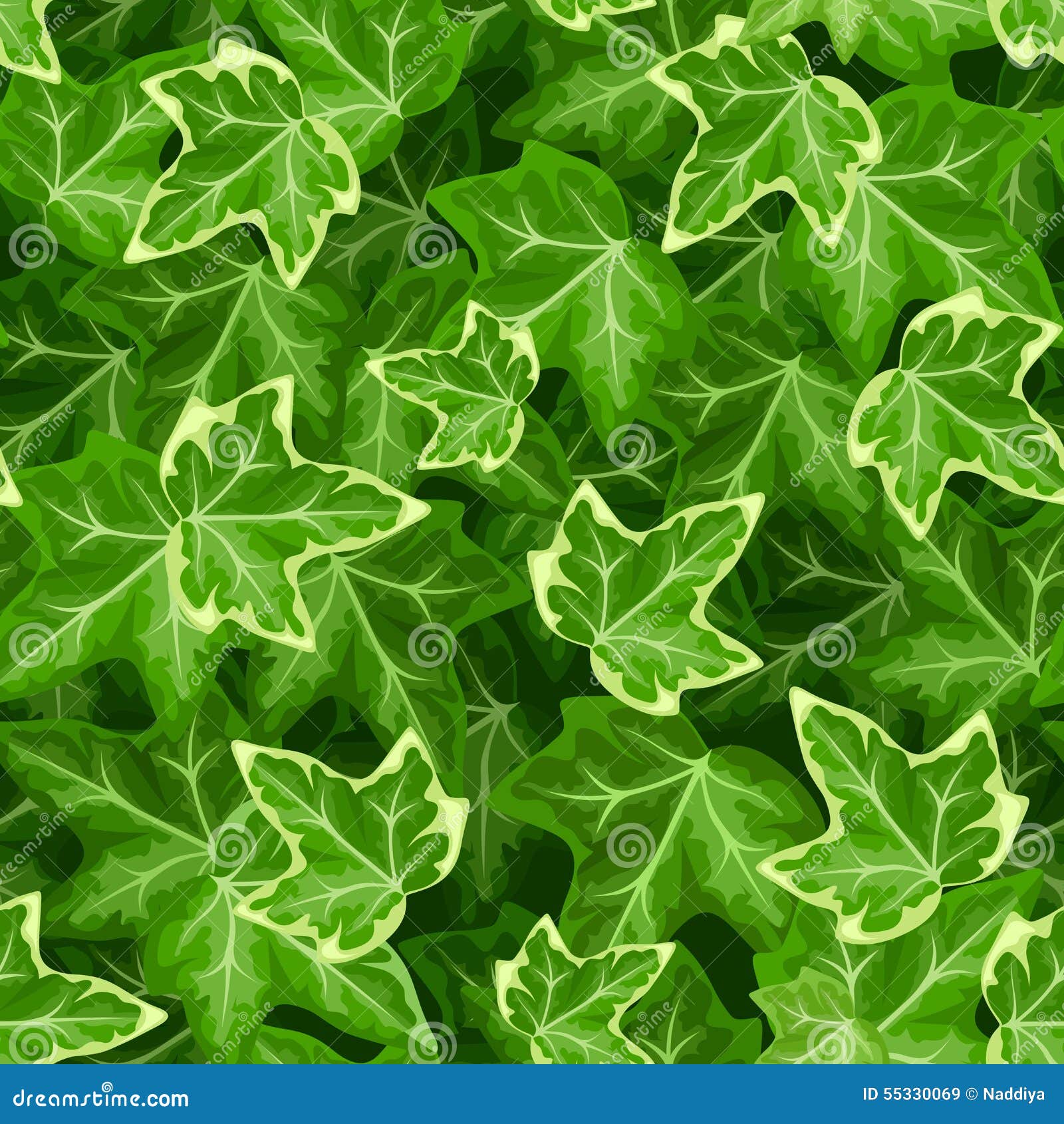 Green Ivy. Vector Illustration Cartoon Vector | CartoonDealer.com #13511233