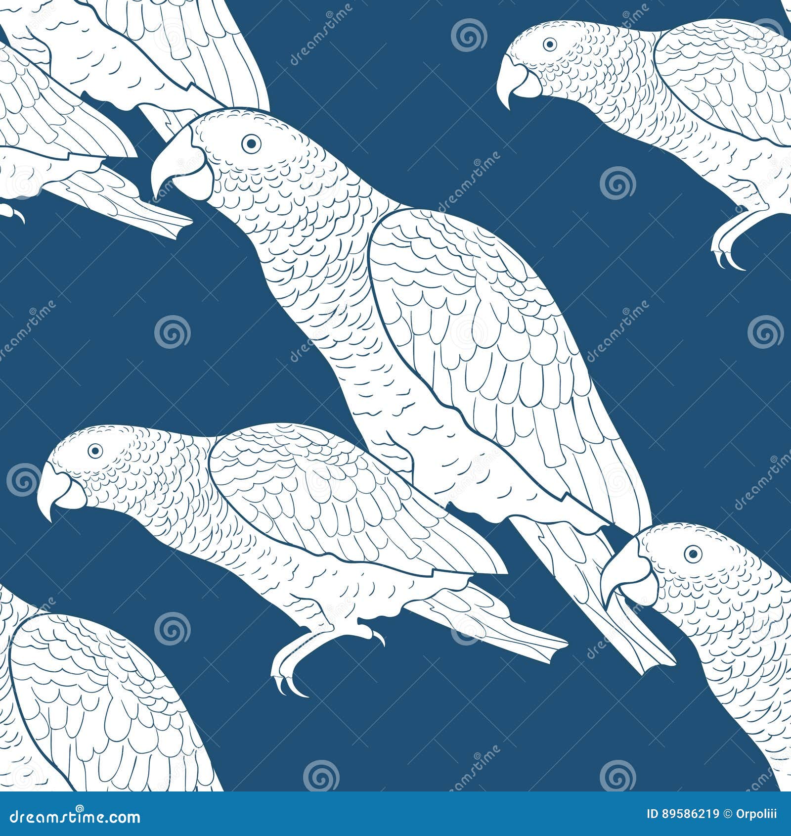 Jaco Parrot Bird Concept Icon Set And Modern Brand Identity Logo ...