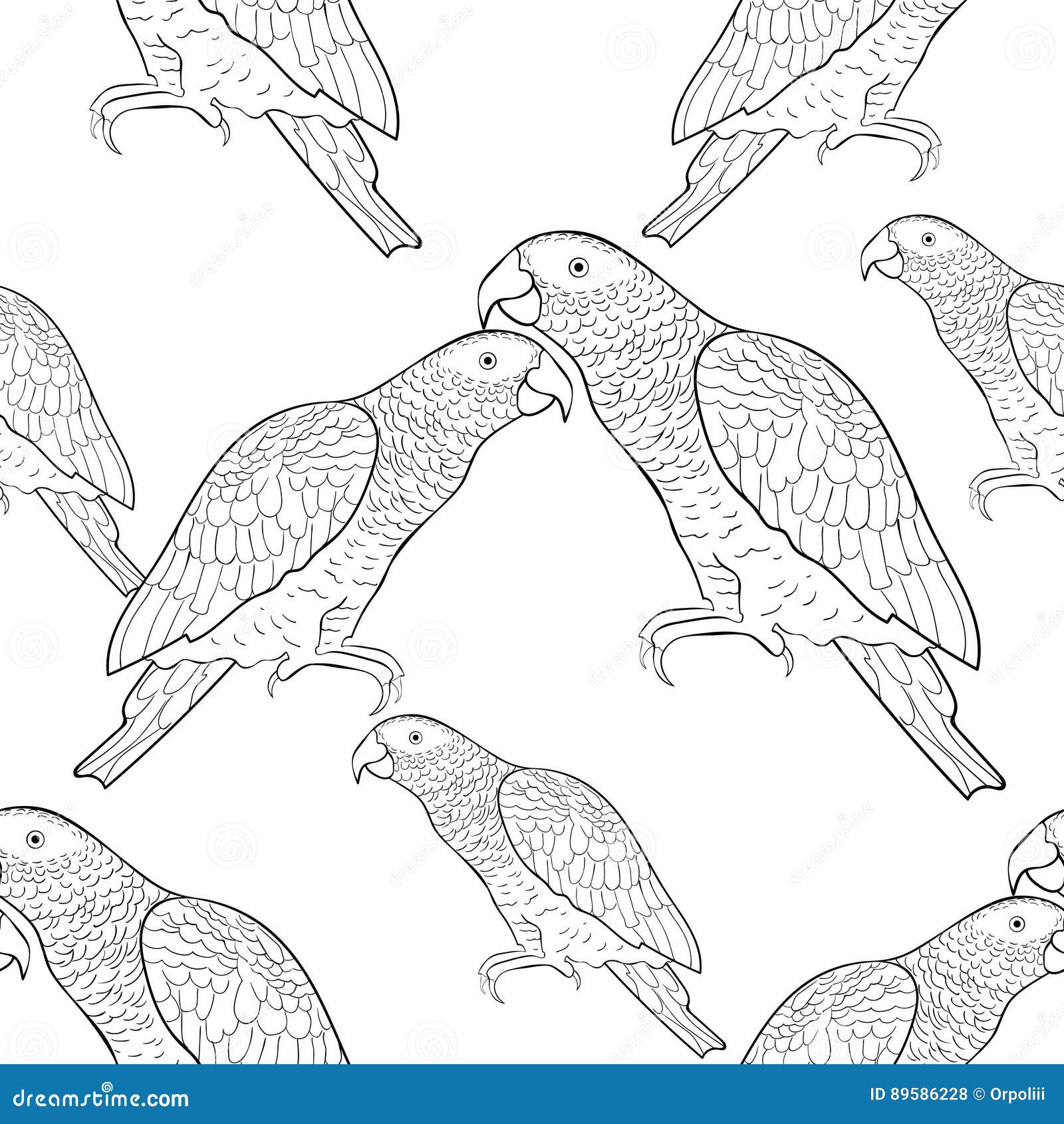 Jaco Parrot Bird Concept Icon Set And Modern Brand Identity Logo ...