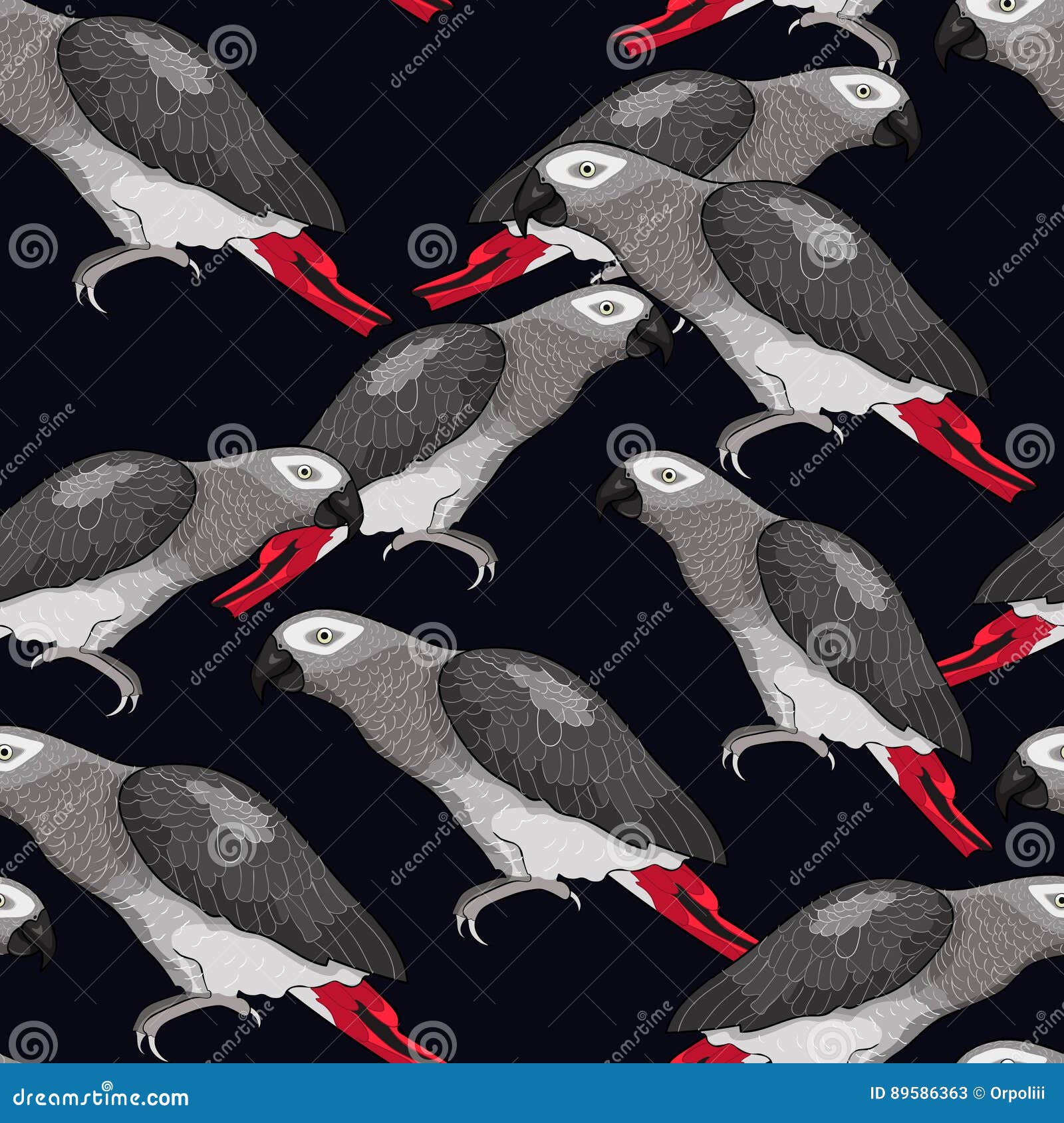 Jaco Parrot Bird Concept Icon Set And Modern Brand Identity Logo ...