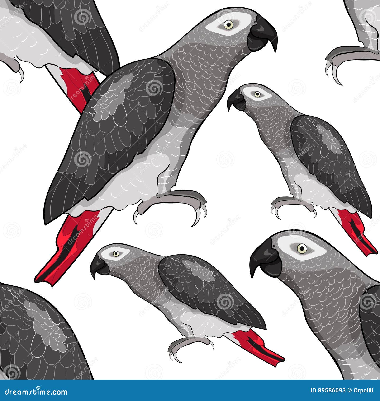 Jaco Parrot Bird Concept Icon Set And Modern Brand Identity Logo ...