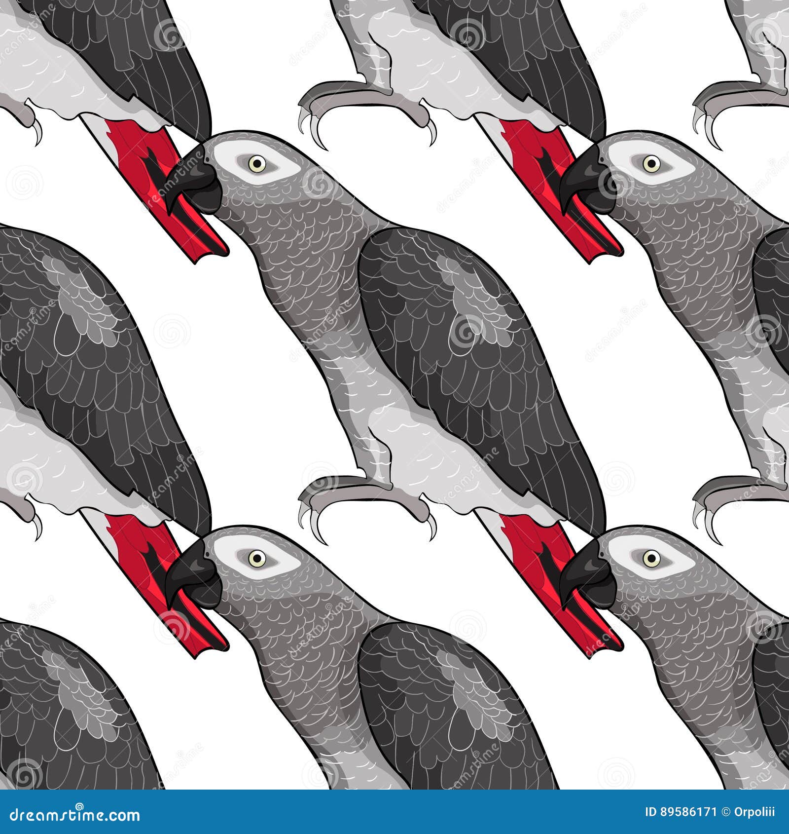 Jaco Parrot Bird Concept Icon Set And Modern Brand Identity Logo ...