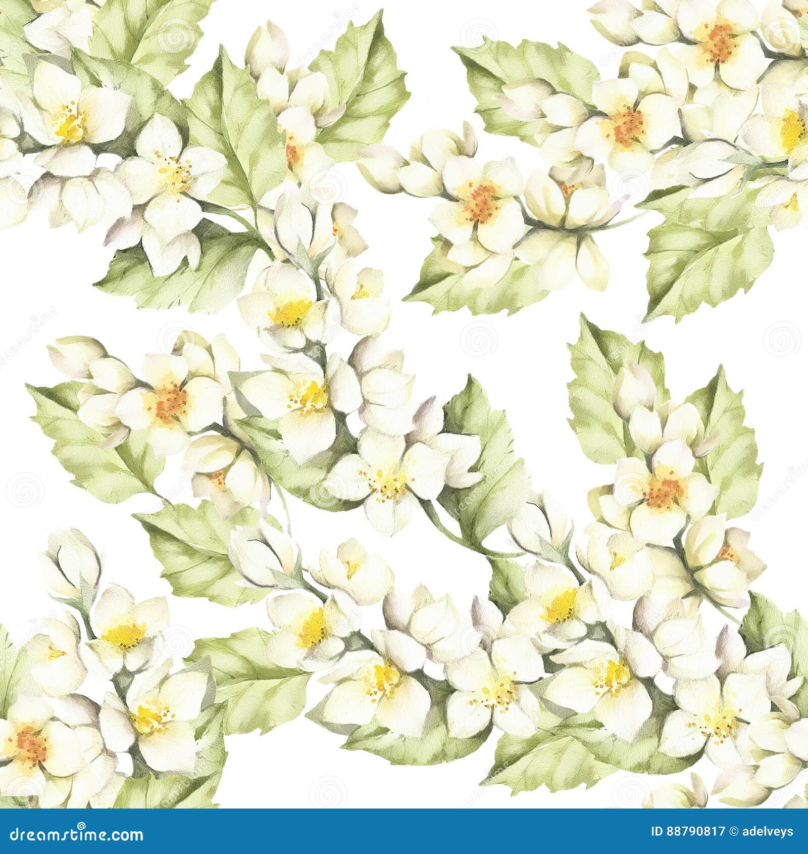 Ink Jasmine Hand Drawn Sketch Cartoon Vector | CartoonDealer.com #78991857