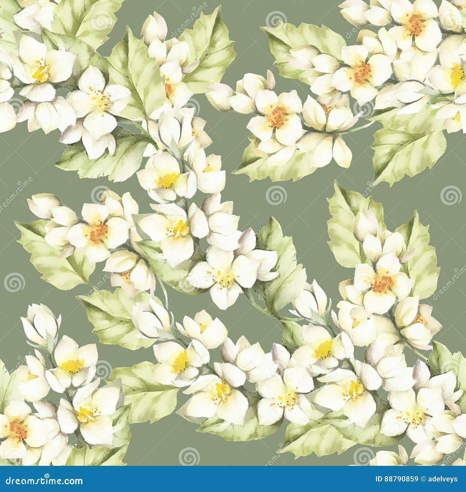 Jasmine Hand Drawing Sketch Stock Photo | CartoonDealer.com #30096978