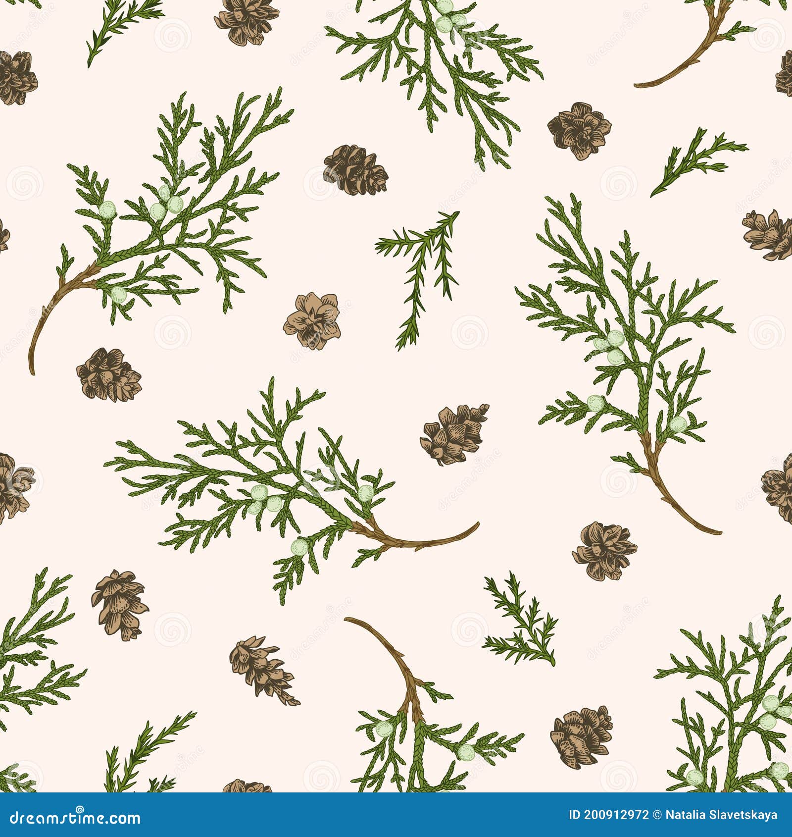 Seamless Pattern with Juniper Branches Stock Vector - Illustration of ...
