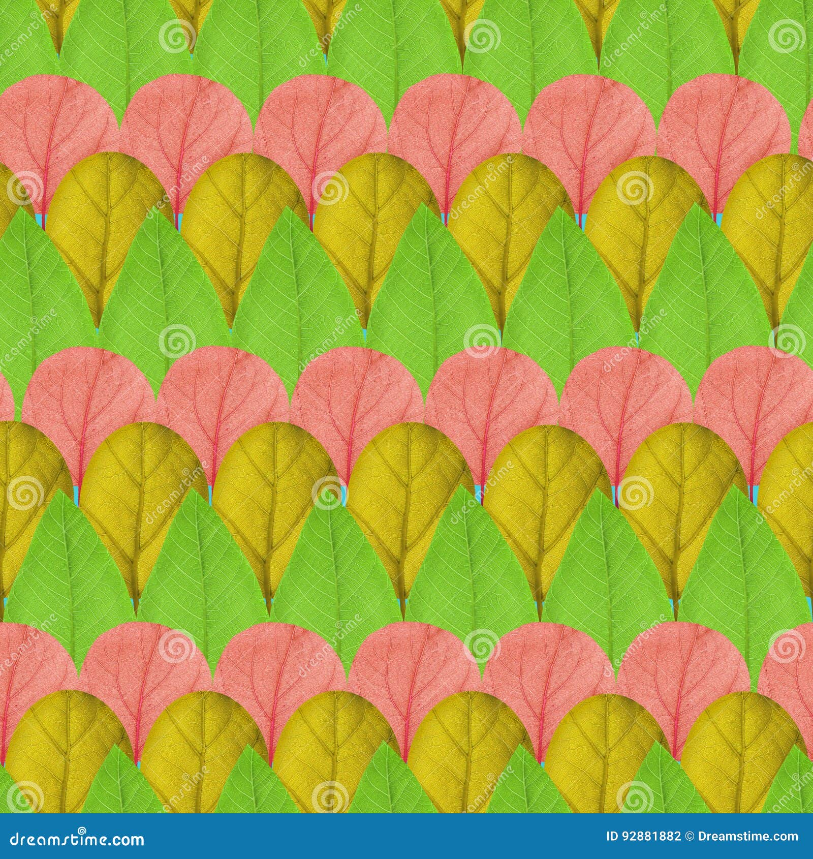 Seamless Pattern of Leaves of Different Colors Stock Photo - Image of ...