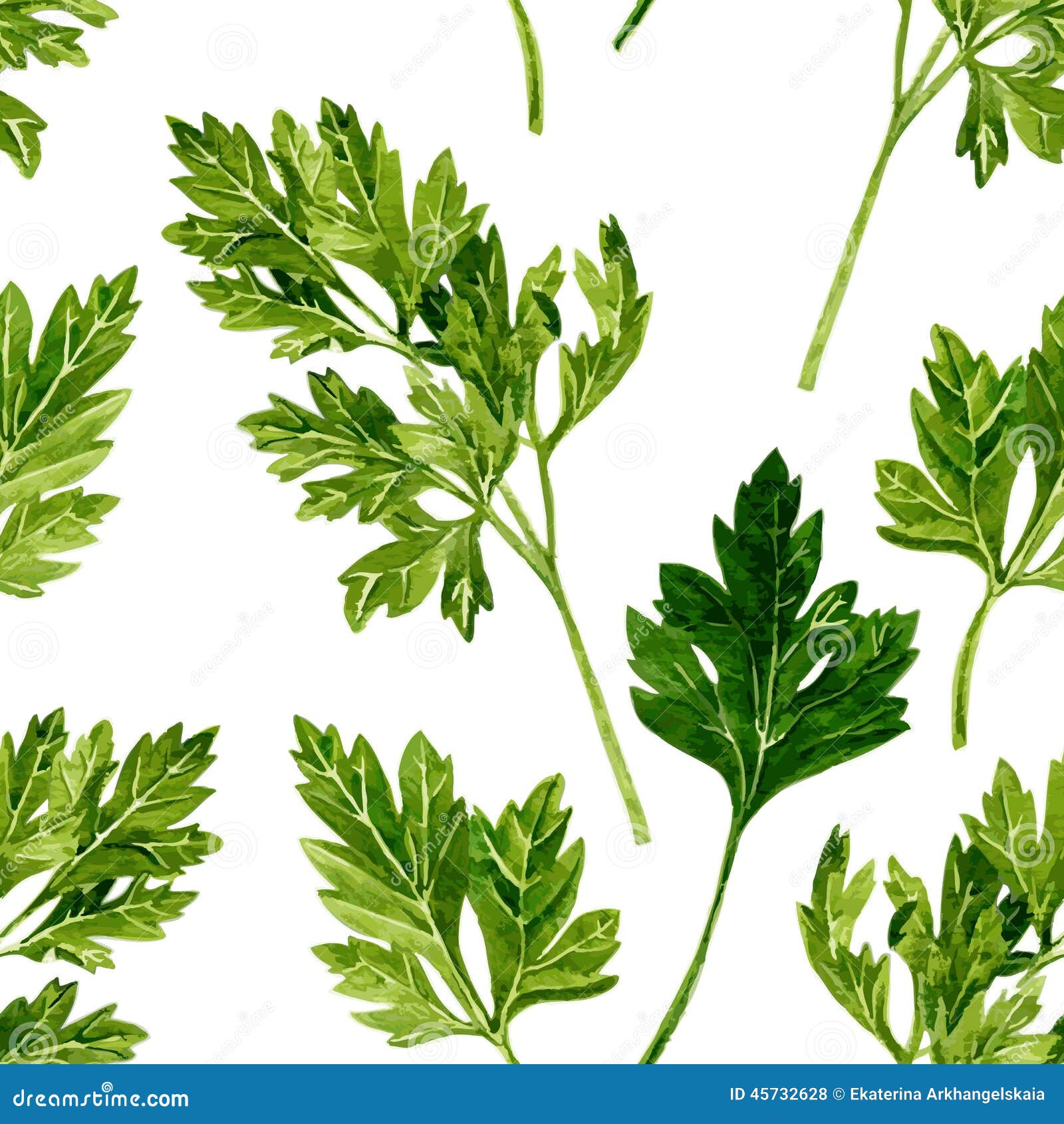 Seamless Pattern with Leaves of Parsley Stock Vector - Illustration of ...
