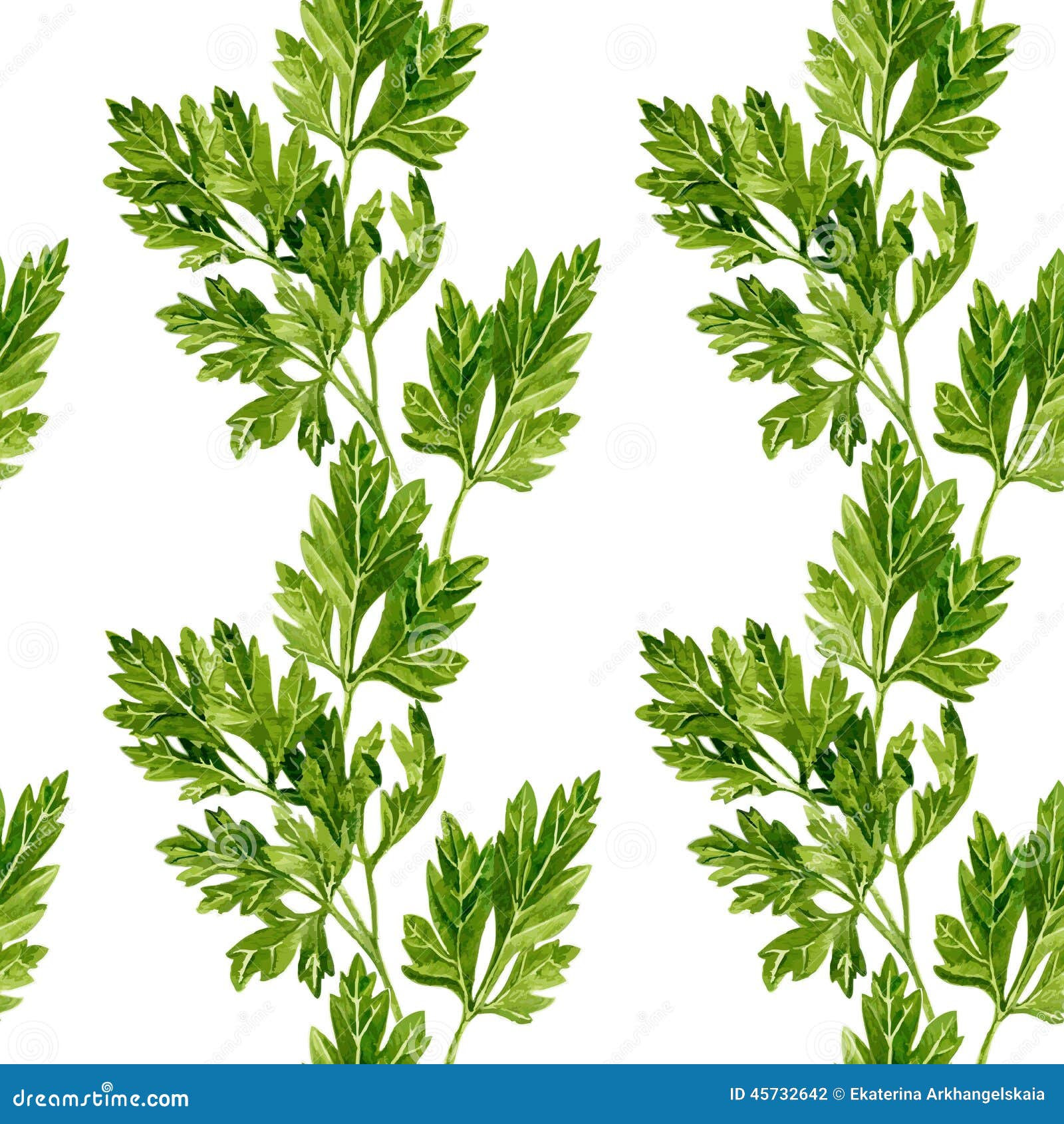 Seamless Pattern with Leaves of Parsley Stock Vector - Illustration of ...