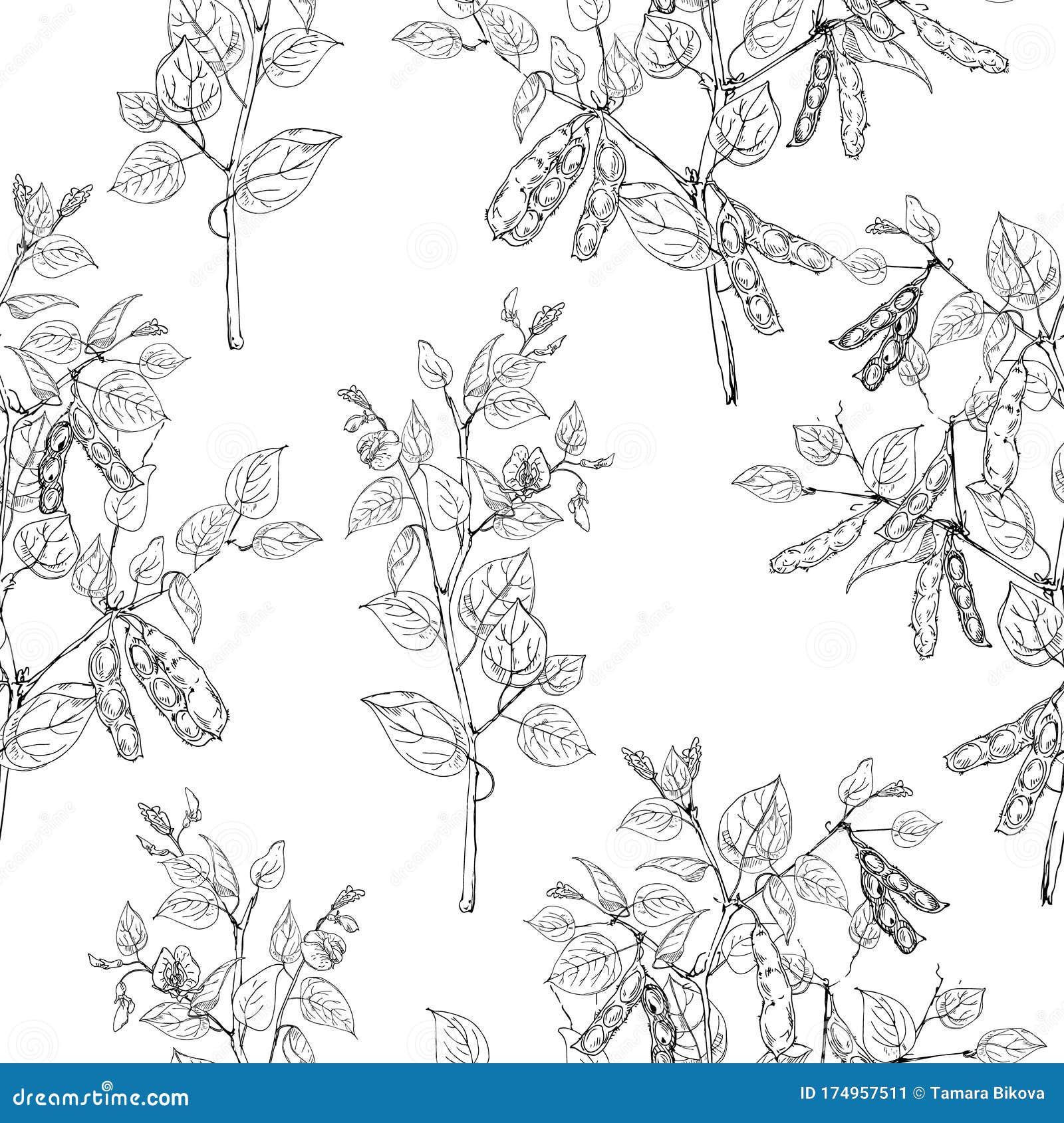 Seamless Pattern with Legume Crops Stock Illustration - Illustration of ...