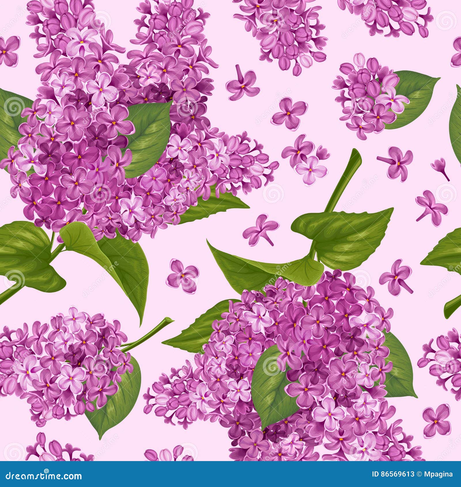 Seamless Pattern with Lilac Stock Vector - Illustration of march ...