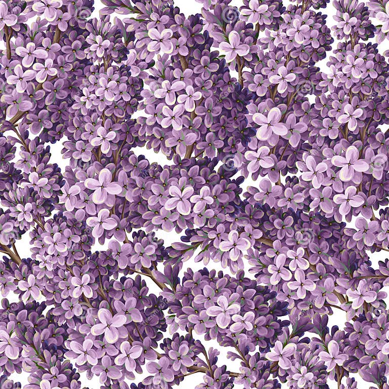 Seamless Pattern with Lilacs. Vector. Stock Vector - Illustration of ...
