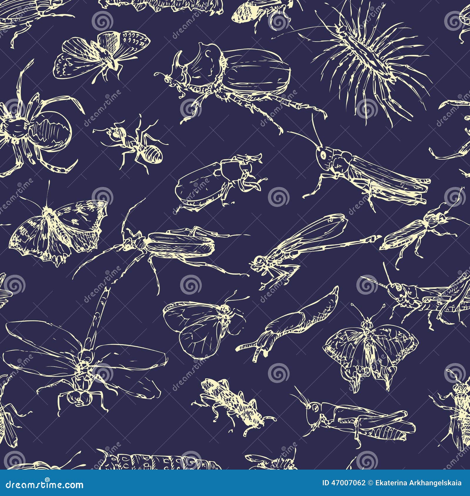 Seamless Pattern with Line Drawing Insects Stock Vector - Illustration ...