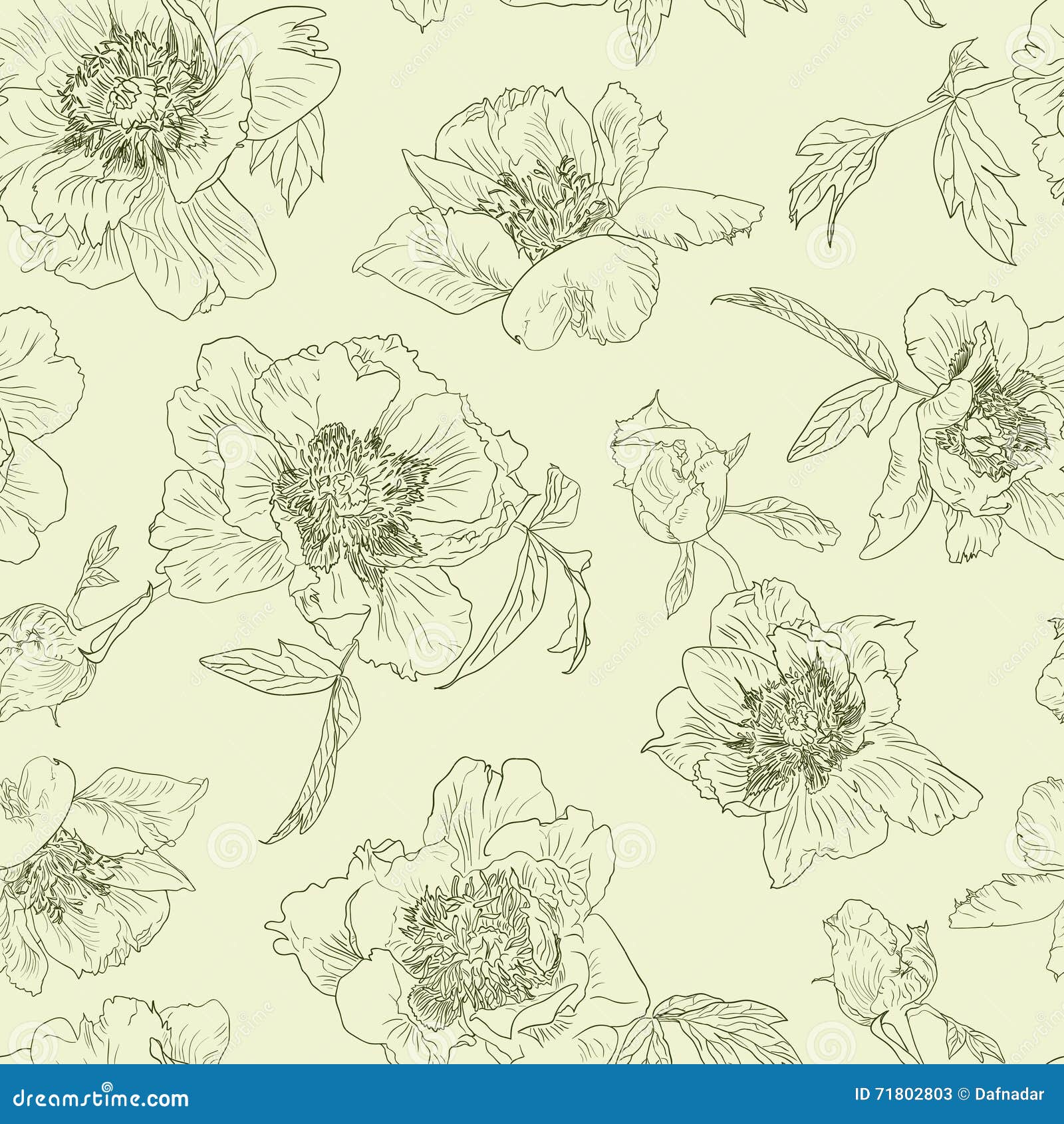 Peonies Line Pattern Stock Illustrations – 2,566 Peonies Line Pattern ...