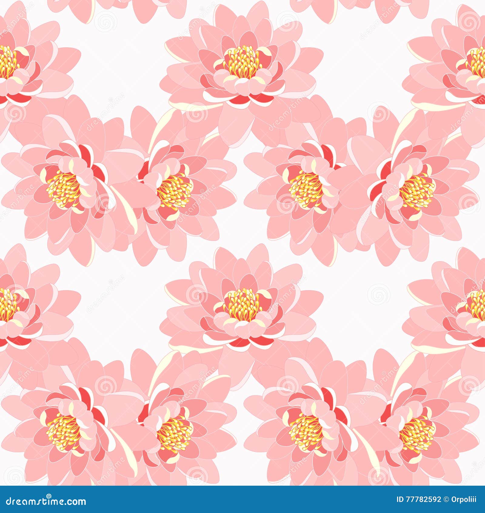 Seamless Pattern Lotus Flower Pink Close Up On A White Background Stock ...