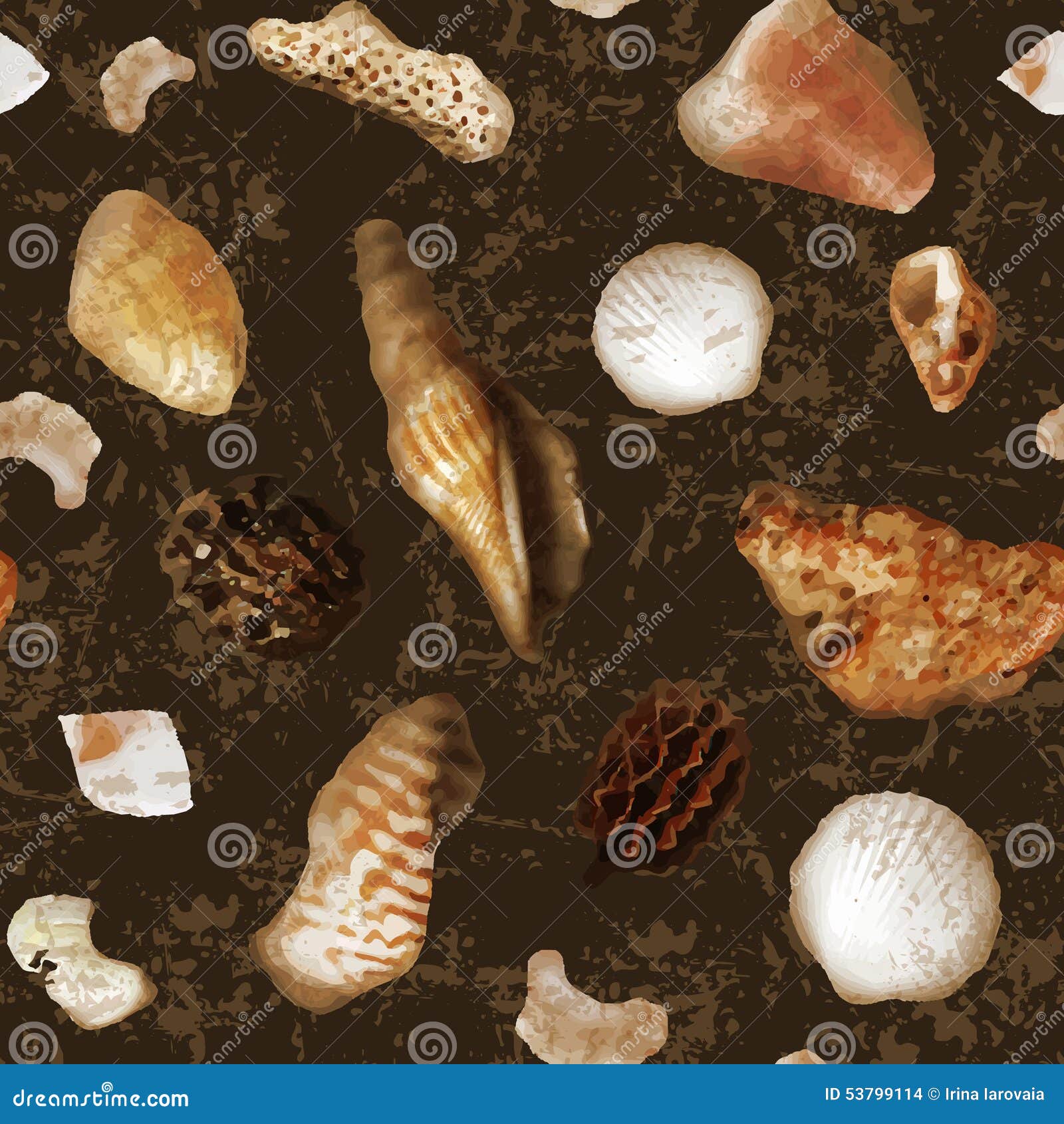 Seamless Pattern Made Shells. Stock Vector - Illustration of helix ...