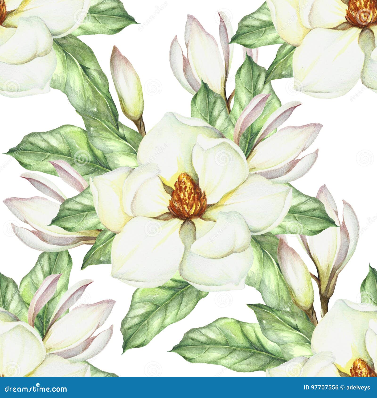 Seamless Pattern with Magnolia. Hand Draw Watercolor Illustration Stock ...