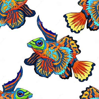 Seamless Pattern Mandarin Fish is Chinese Perch. Vector Illustration ...