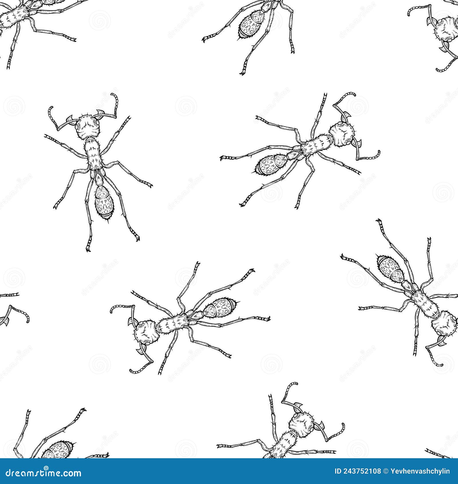 Seamless Pattern of Monochrome Ants Illustration. Vector Illustration ...
