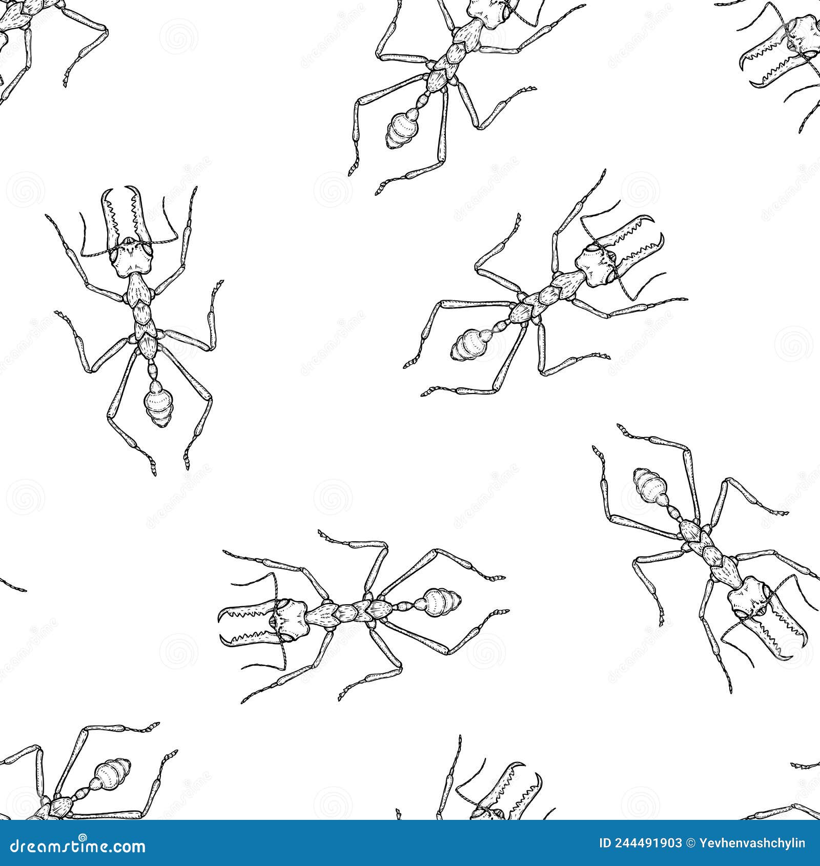 Seamless Pattern of Monochrome Ants Illustration. Vector Illustration ...