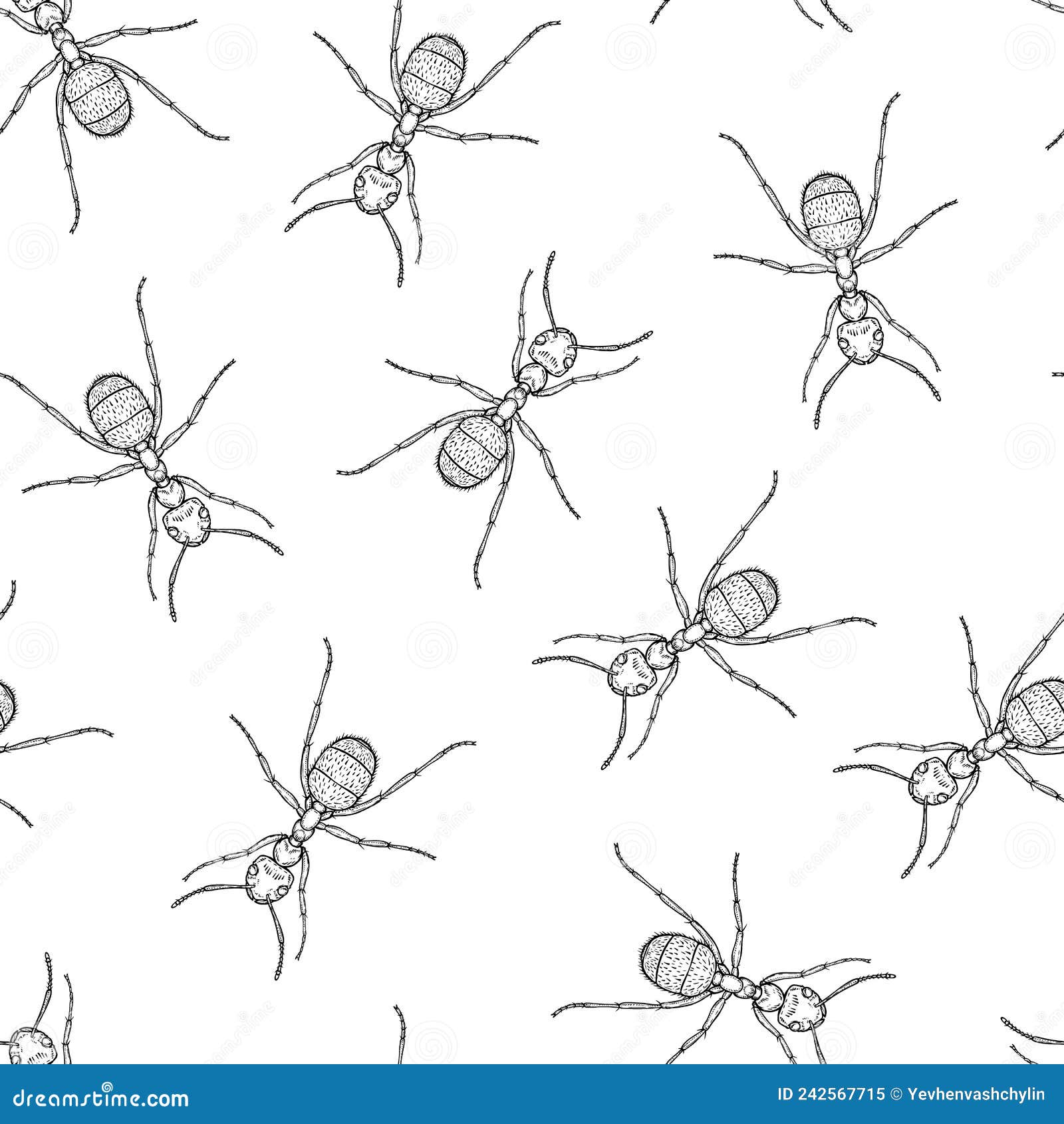 Seamless Pattern of Monochrome Ants Illustration. Vector Illustration ...