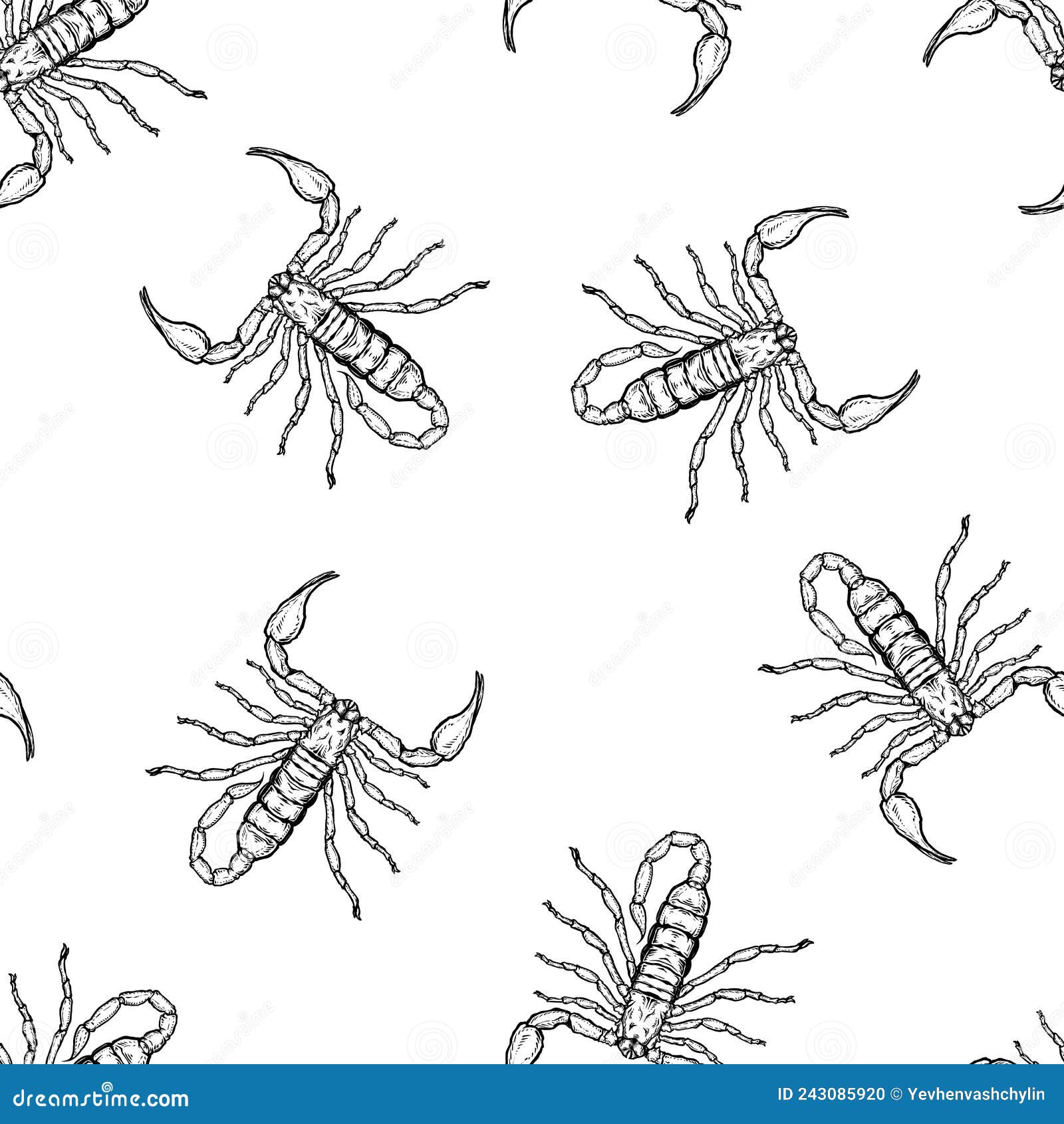Seamless Pattern of Monochrome Scorpions Illustration. Vector ...