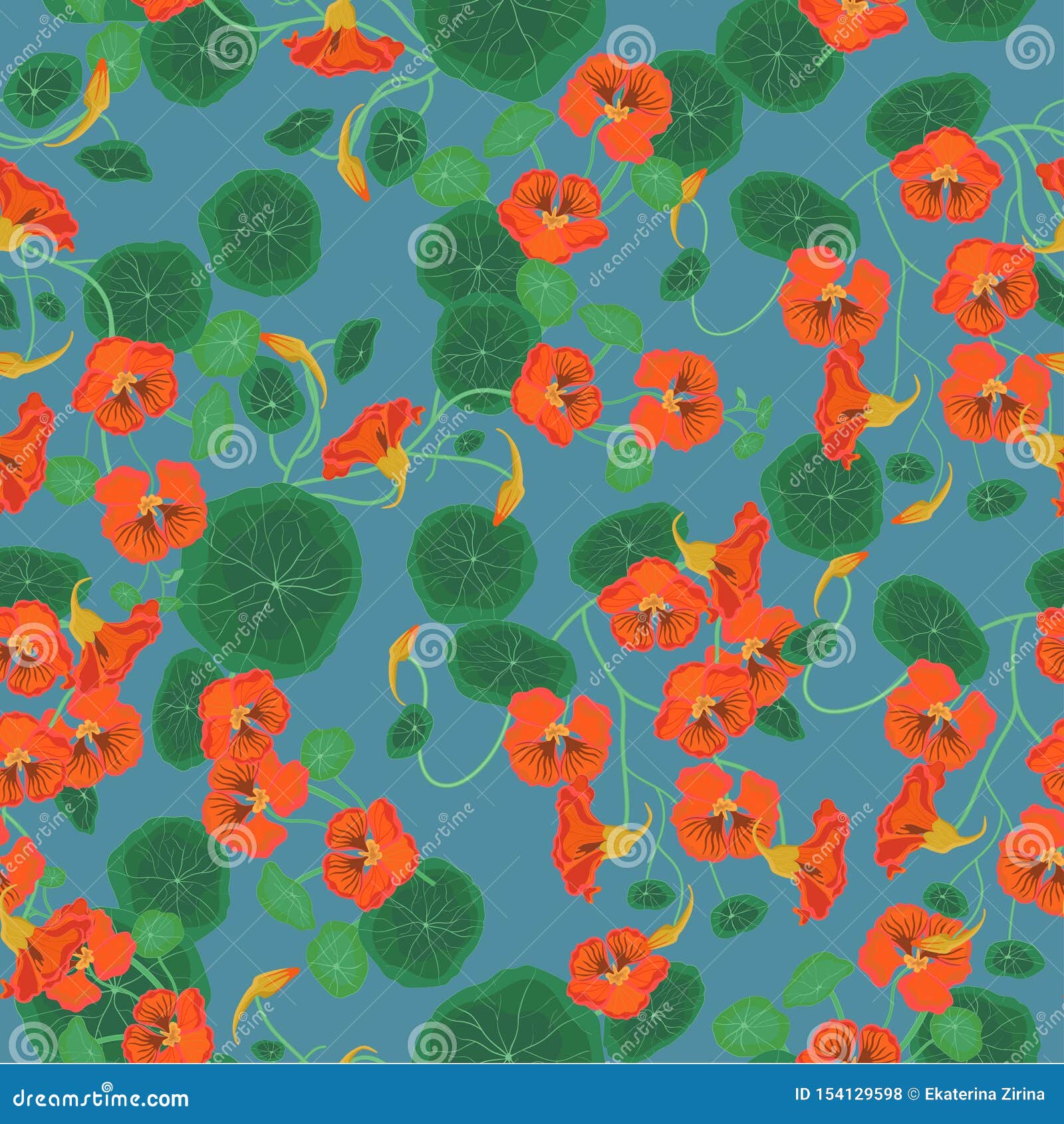 Seamless Pattern with Nasturtium Flowers. Vector Illustration Stock ...