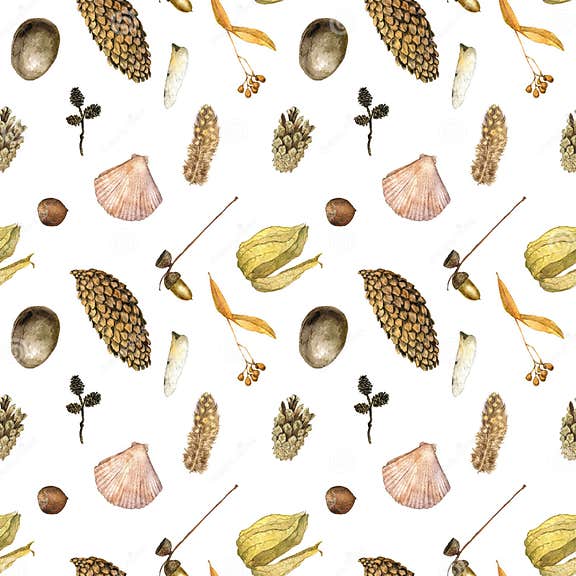 Seamless Pattern with Nature Objects Stock Illustration - Illustration ...