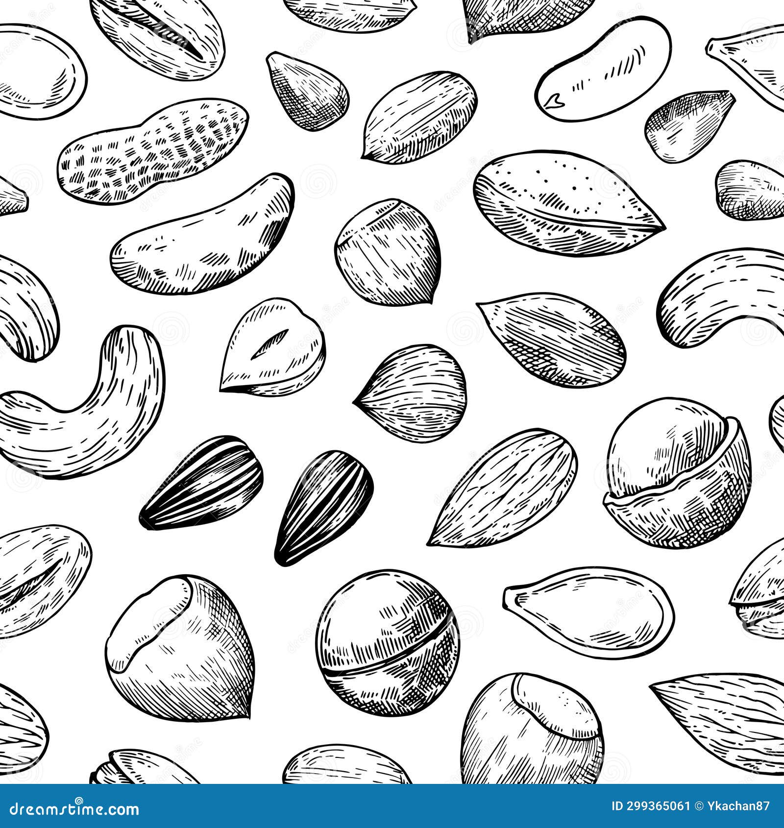 Seamless Pattern with Nuts and Seeds. Sketch Drawing in Engraving Style ...