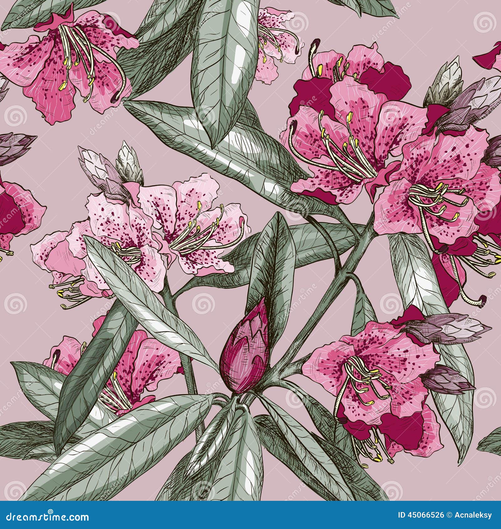 Oleander Cartoons, Illustrations & Vector Stock Images - 1011 Pictures ...