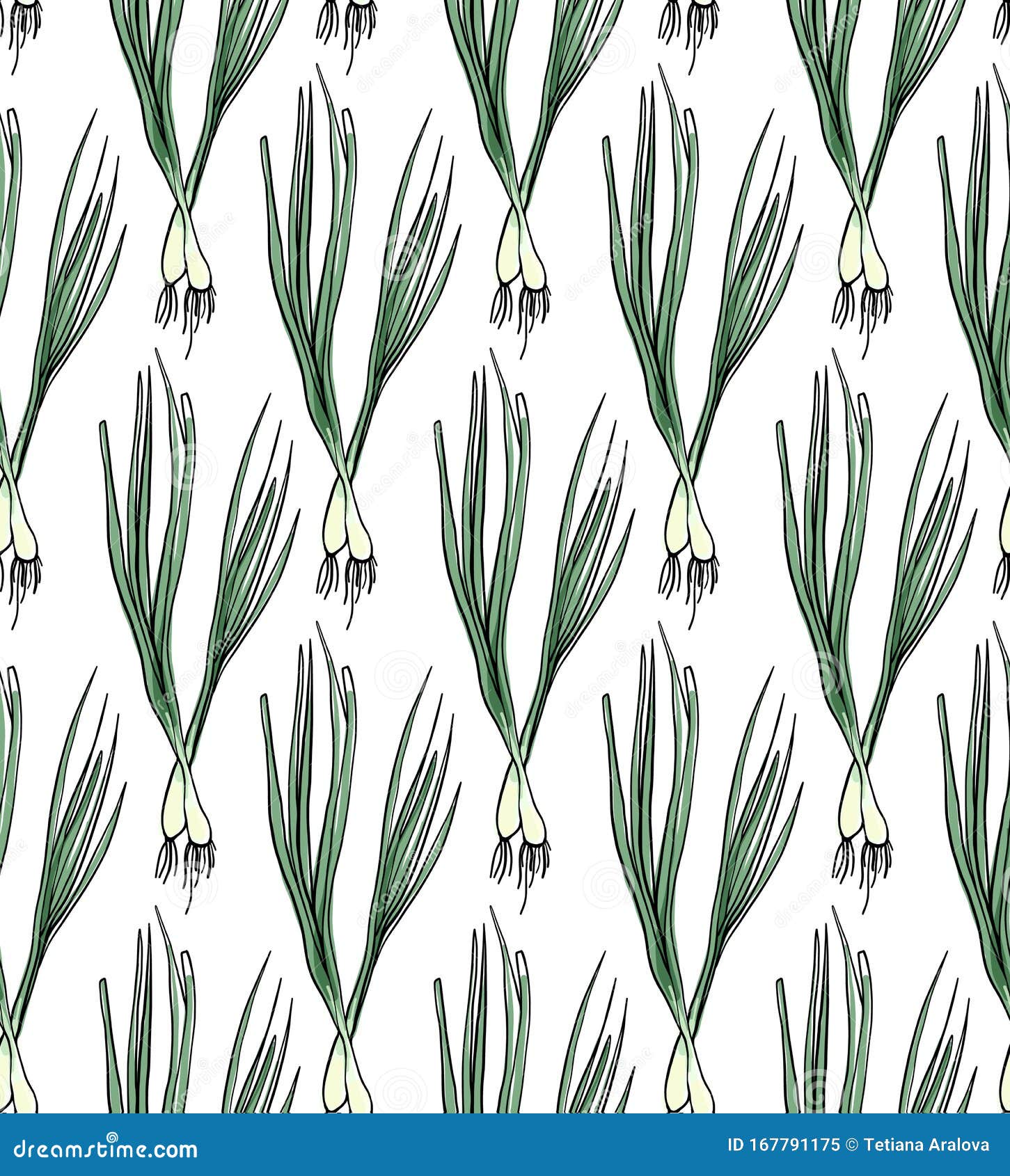 Seamless pattern, onion stock image. Image of sprout - 167791175