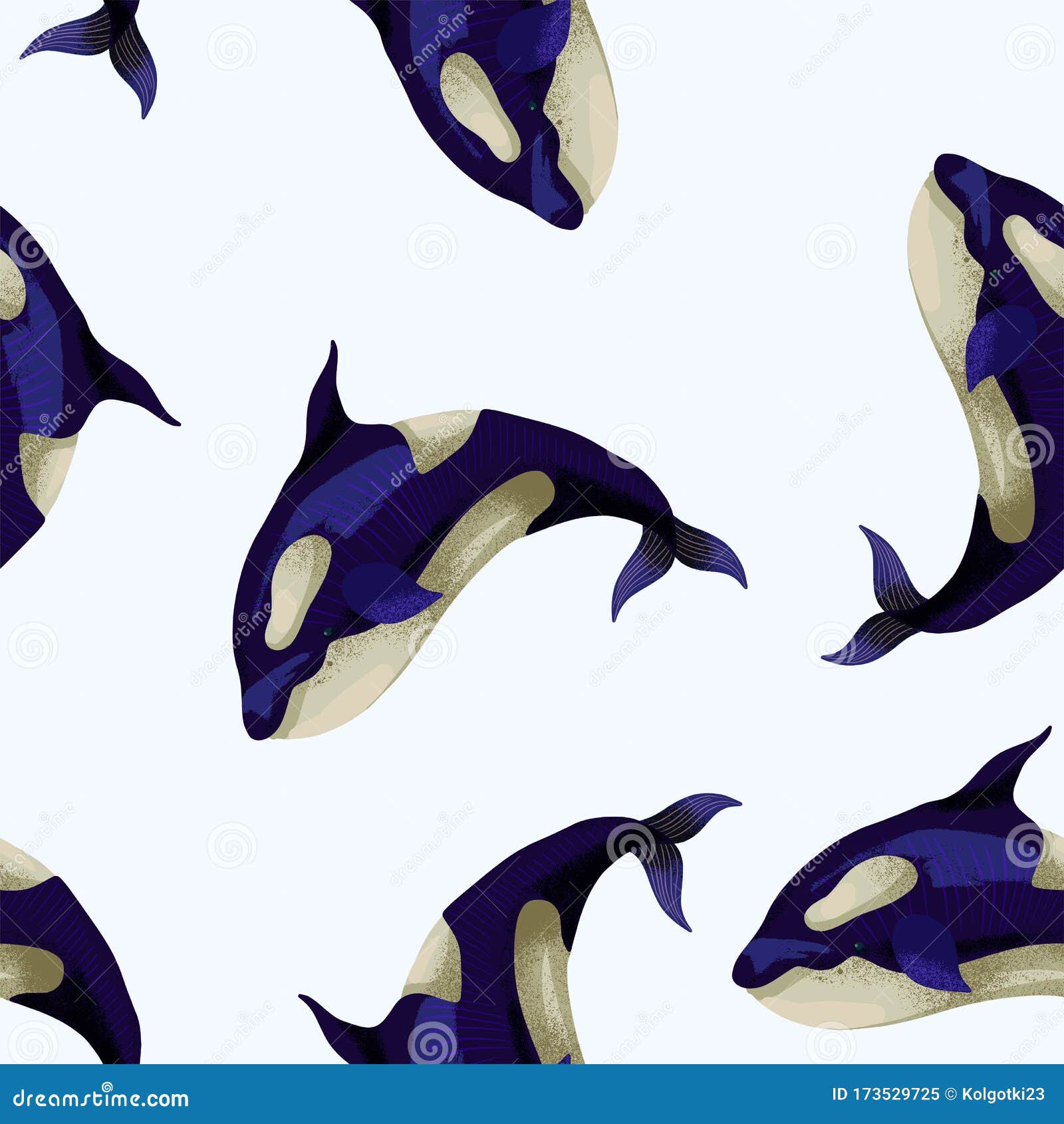 Seamless Pattern with Orca. Vector. Stock Vector - Illustration of ...
