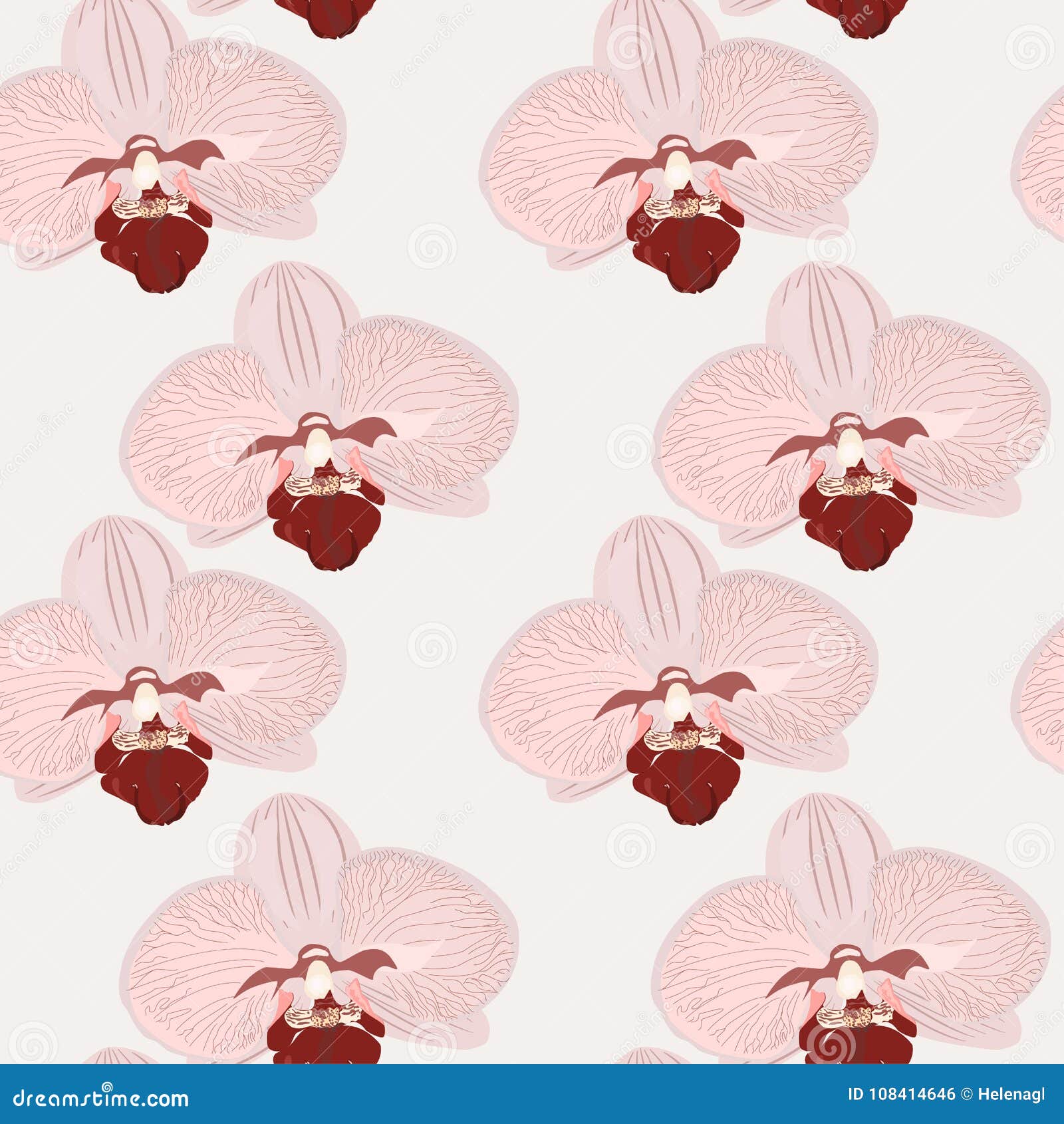 Seamless Pattern With Orchid Flowers Stock Vector Illustration Of