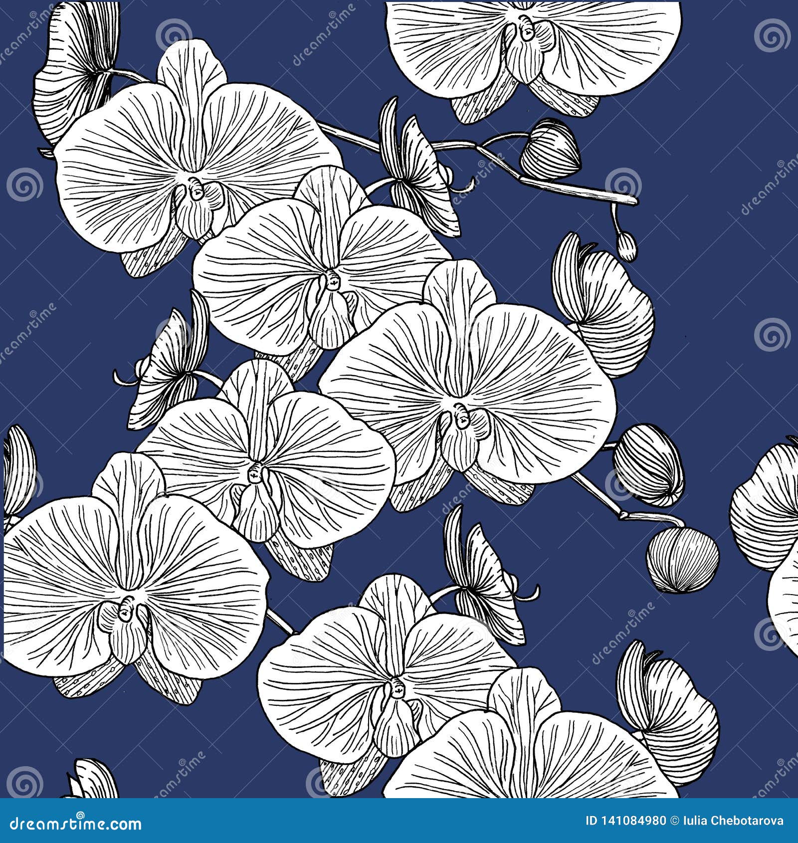 Seamless Pattern with Orchids. Hand Drawn. Stock Illustration ...