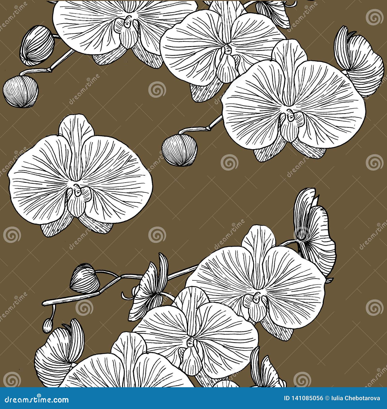 Seamless Pattern with Orchids. Hand Drawn Stock Illustration ...