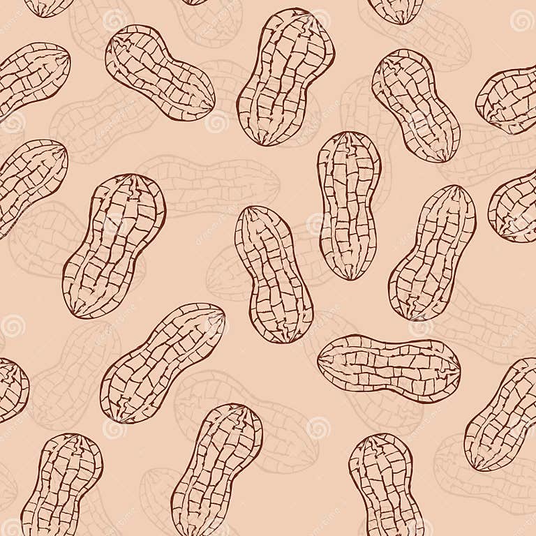 Seamless Pattern Peanuts Drawn by Hand. Vector Illustration of Peanut ...