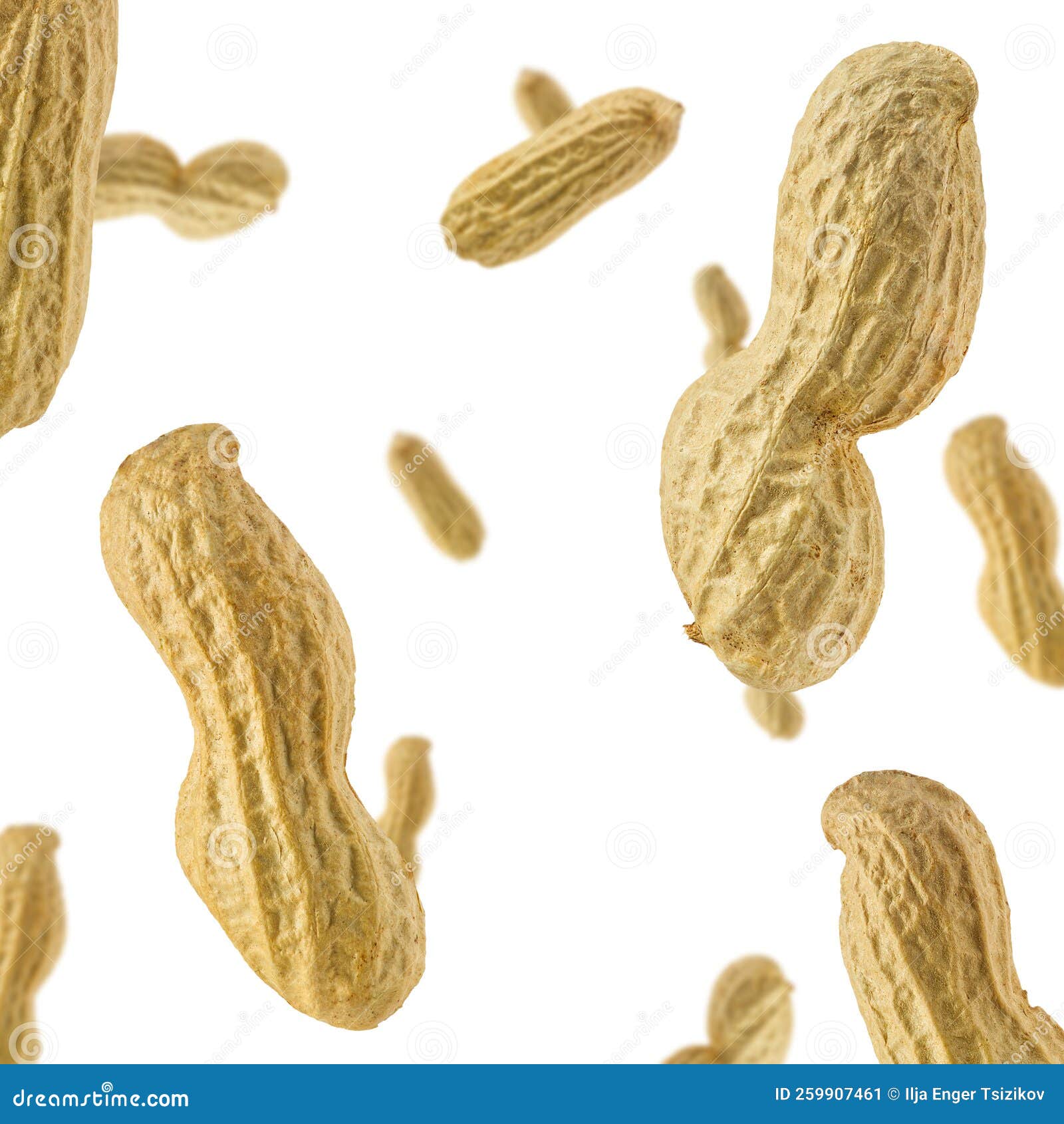 Seamless Pattern of Peanuts Isolated on White Background Stock Image ...
