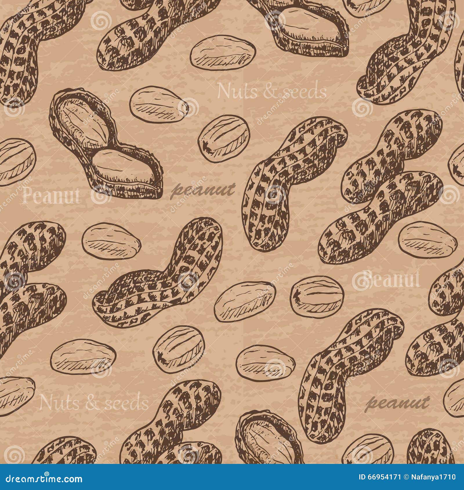 Seamless Pattern with Peanuts Stock Vector - Illustration of drawn ...