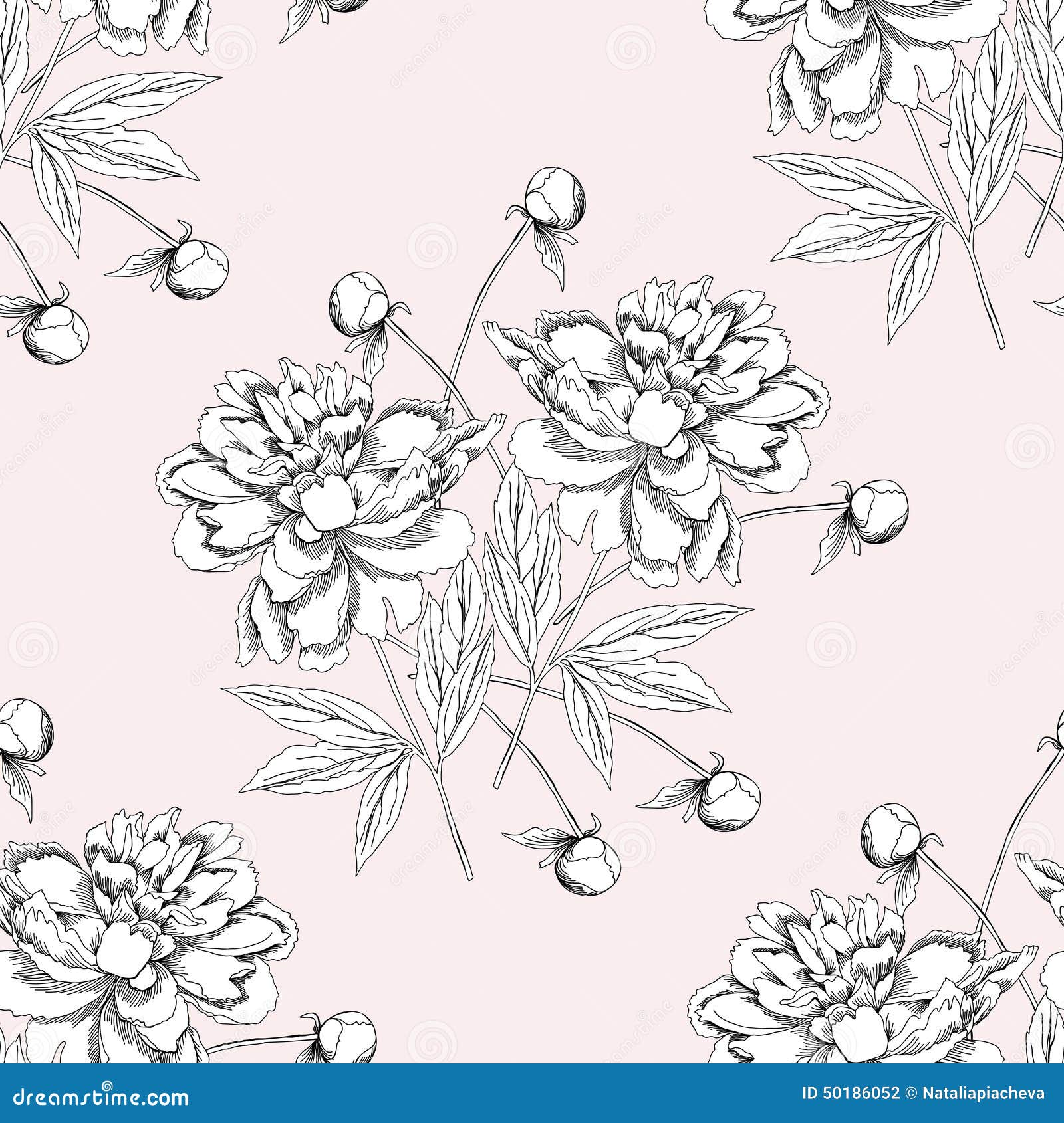 Seamless Pattern with Peony11-02 Stock Vector - Illustration of bouquet ...