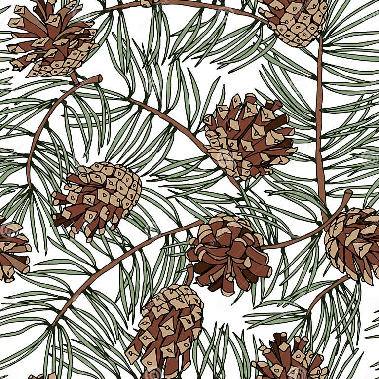 Seamless Pattern of Pine Cones and Branches. Stock Vector - Illustration of isolated, design ...