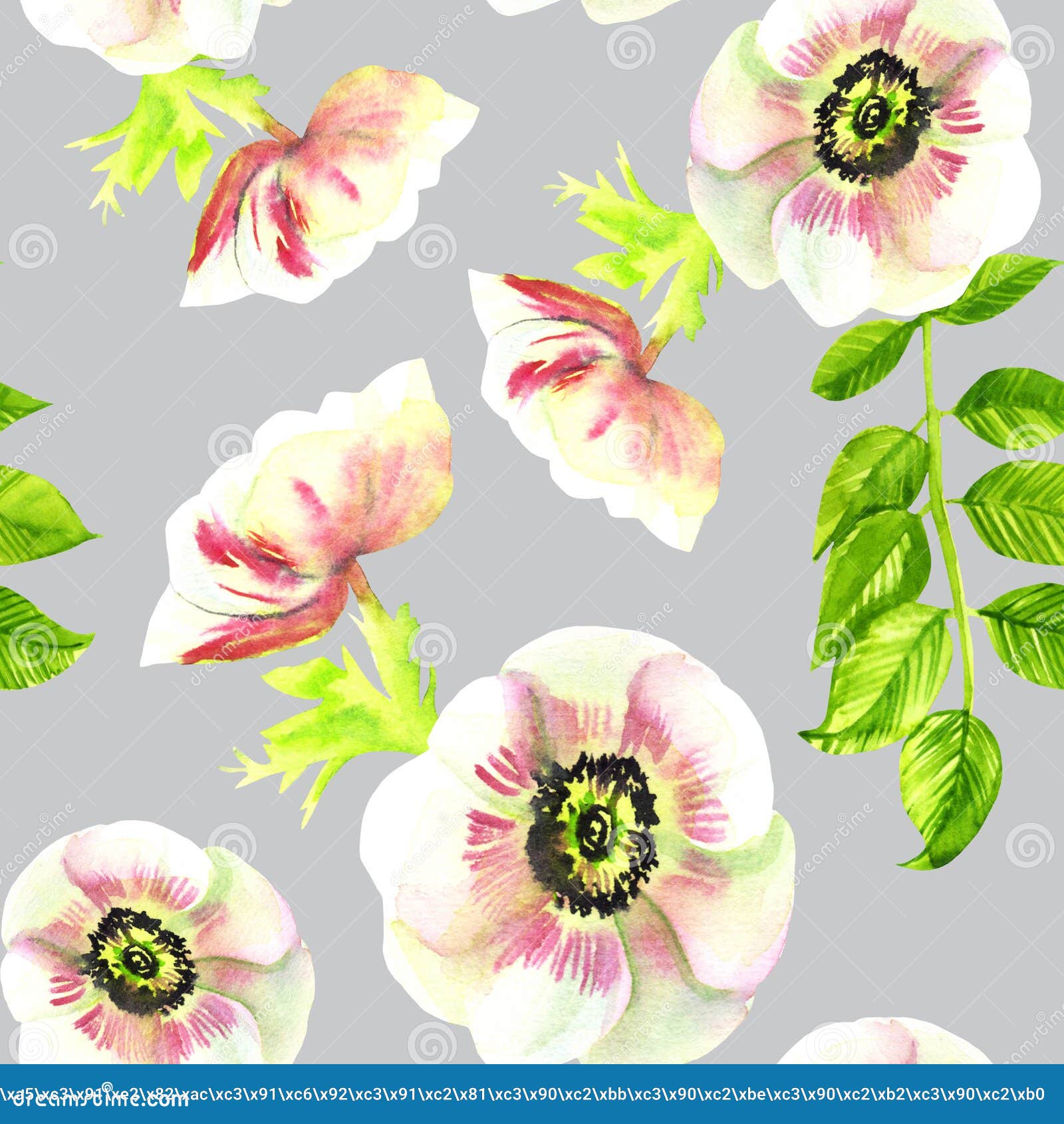 Seamless Pattern Of Pink Anemones In Watercolor Stock Illustration