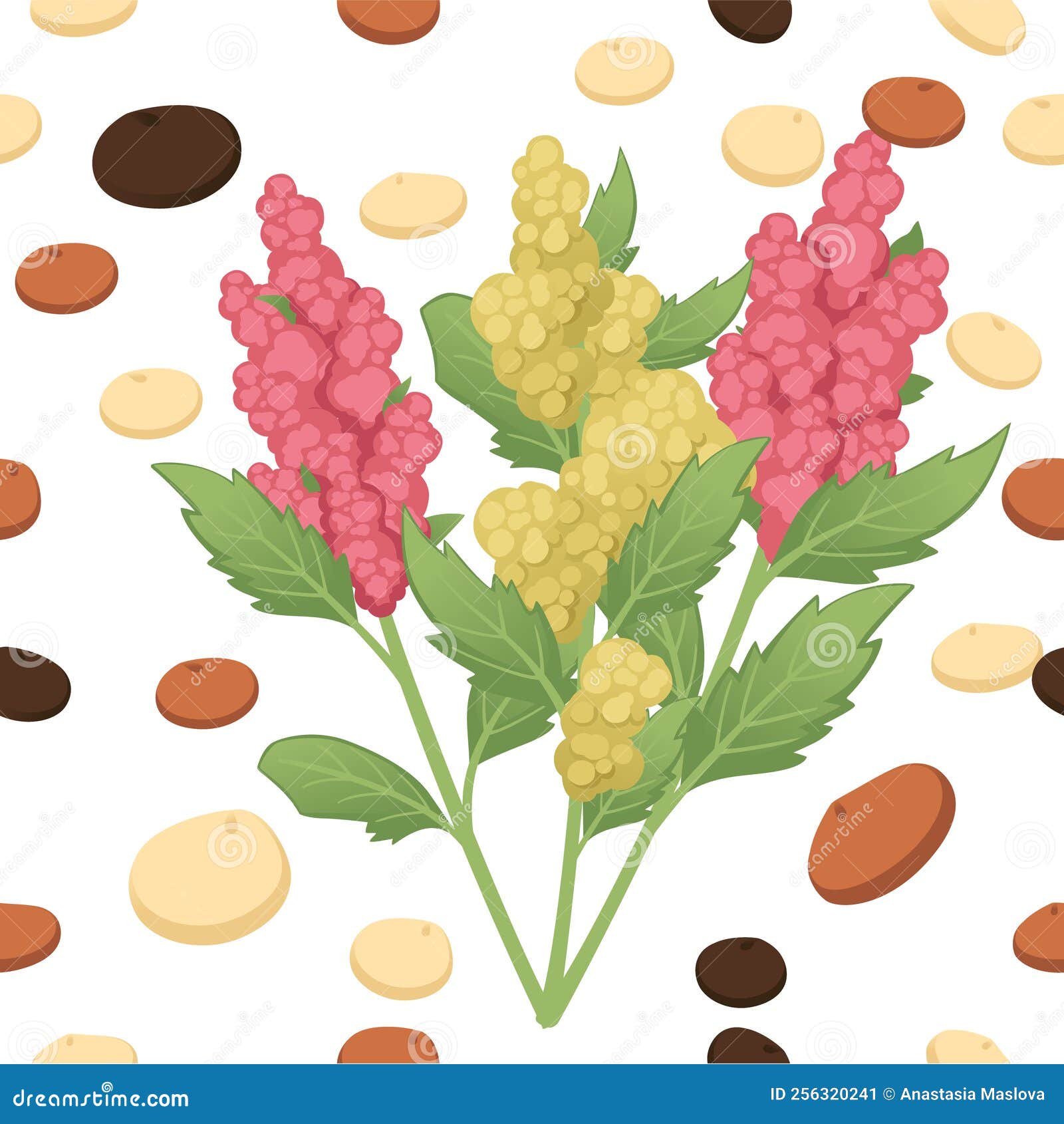 Seamless Pattern Quinoa Agriculture Plant with Seeds Grain Vector ...