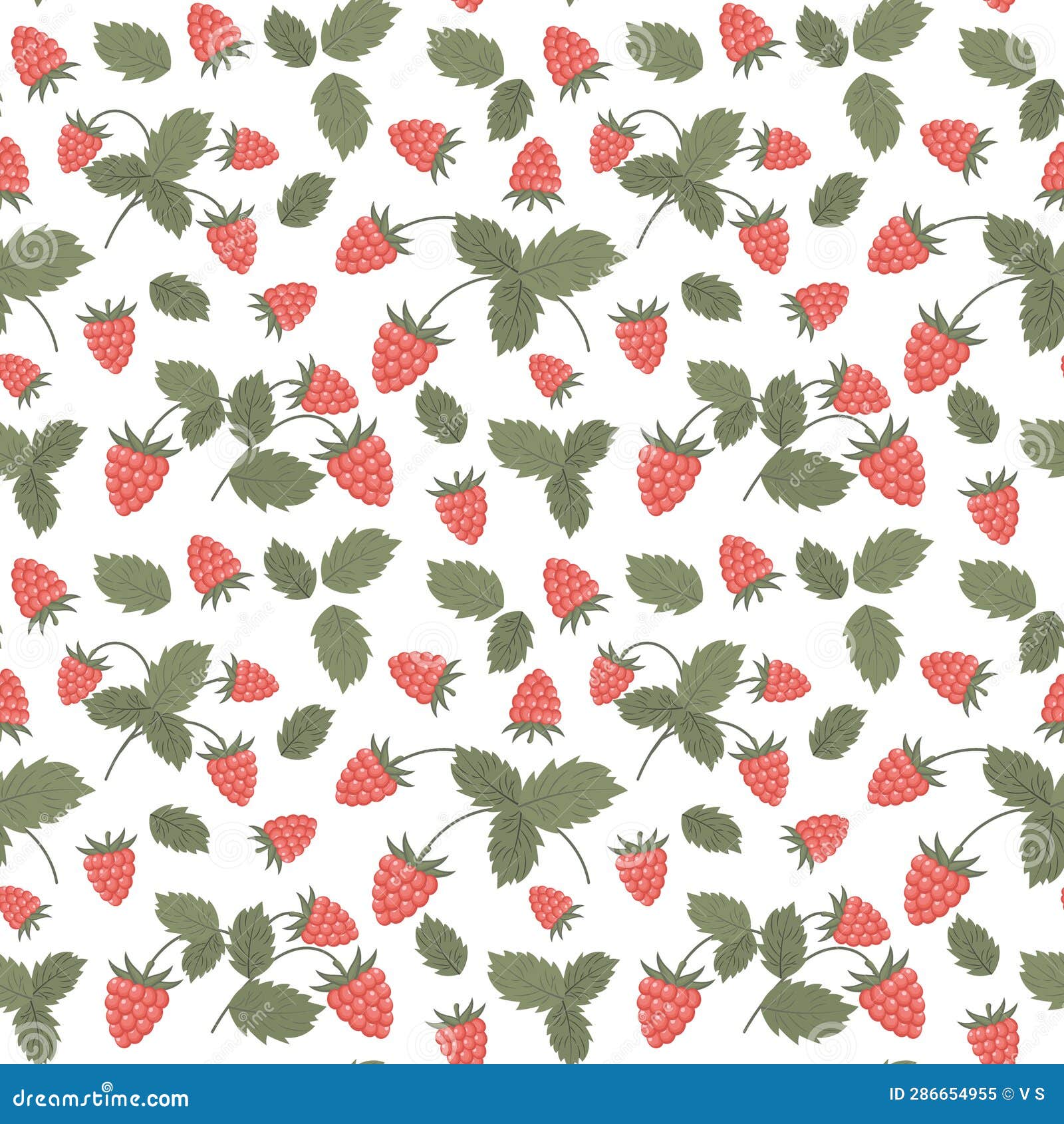 Seamless Pattern, Raspberries with Twigs and Leaves on a White ...