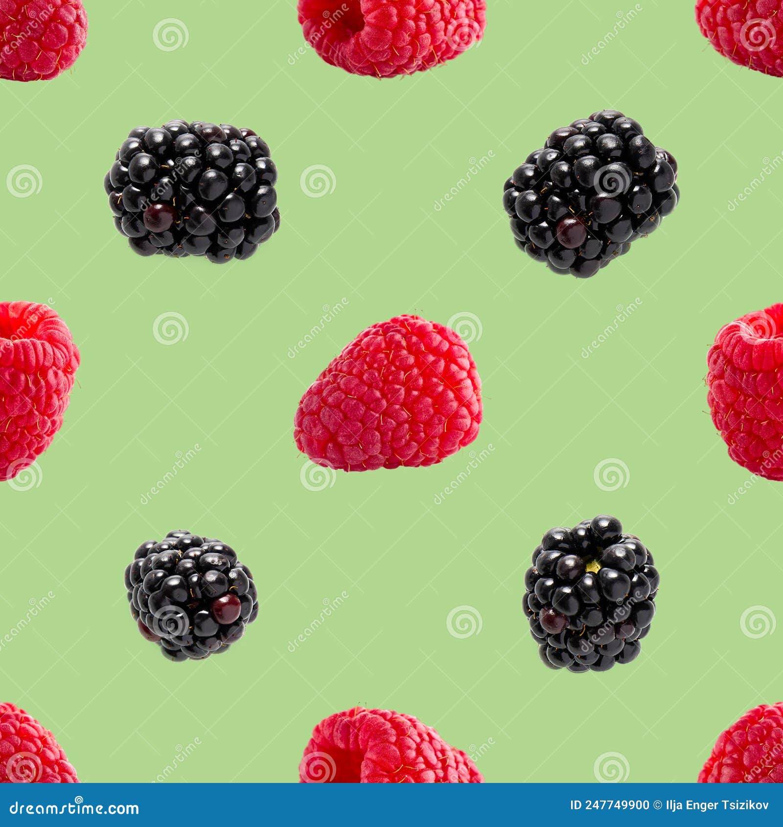 Seamless Pattern with Raspberry and Bramble. Pattern for Package Design ...