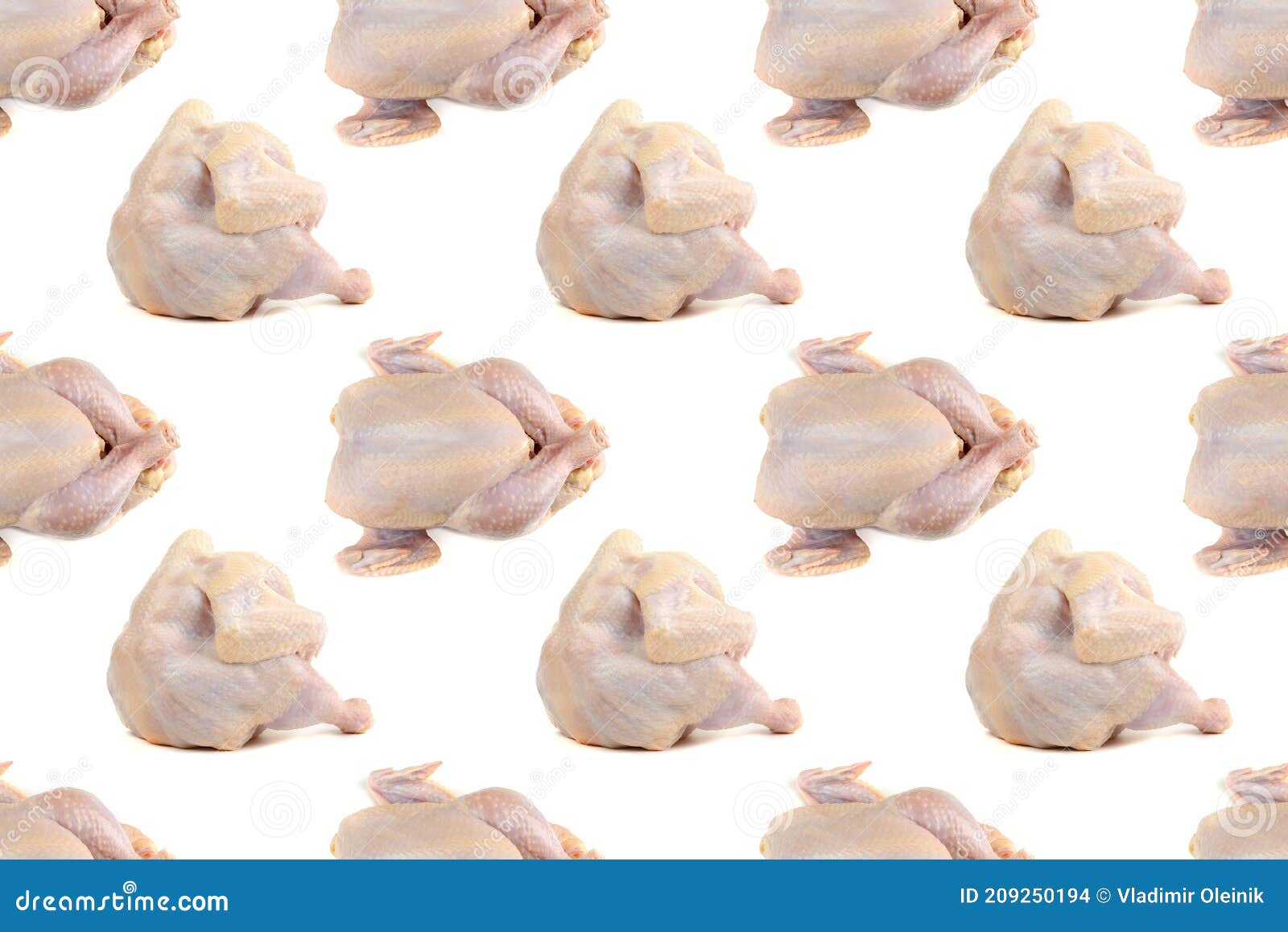 Seamless Pattern of Raw Chicken on a White Background. the View from ...