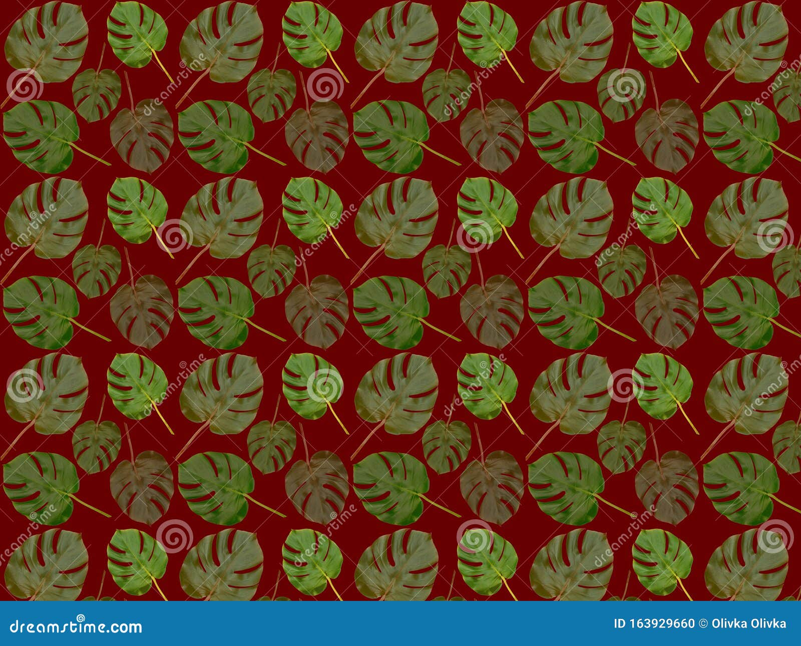 Seamless Pattern of Real Monstera Leaves on a Dark Red Background ...