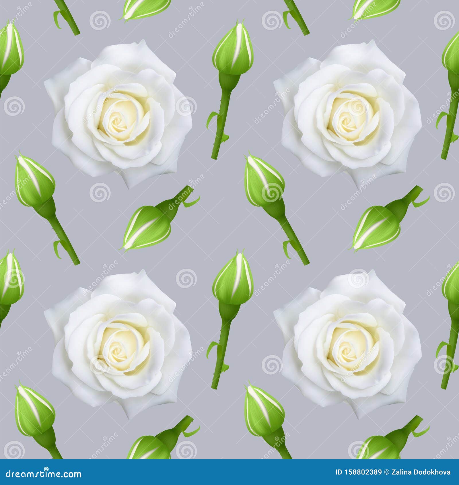 Seamless Pattern with Realistic White Roses on Grey Background,Can Be ...