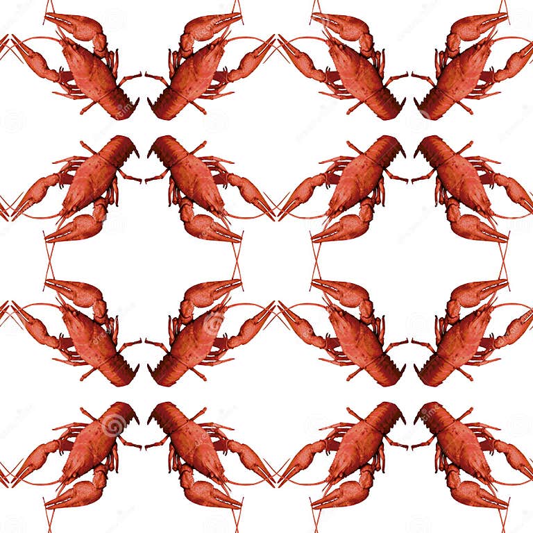 Seamless Pattern with Red Crayfish on White Background. Endless ...