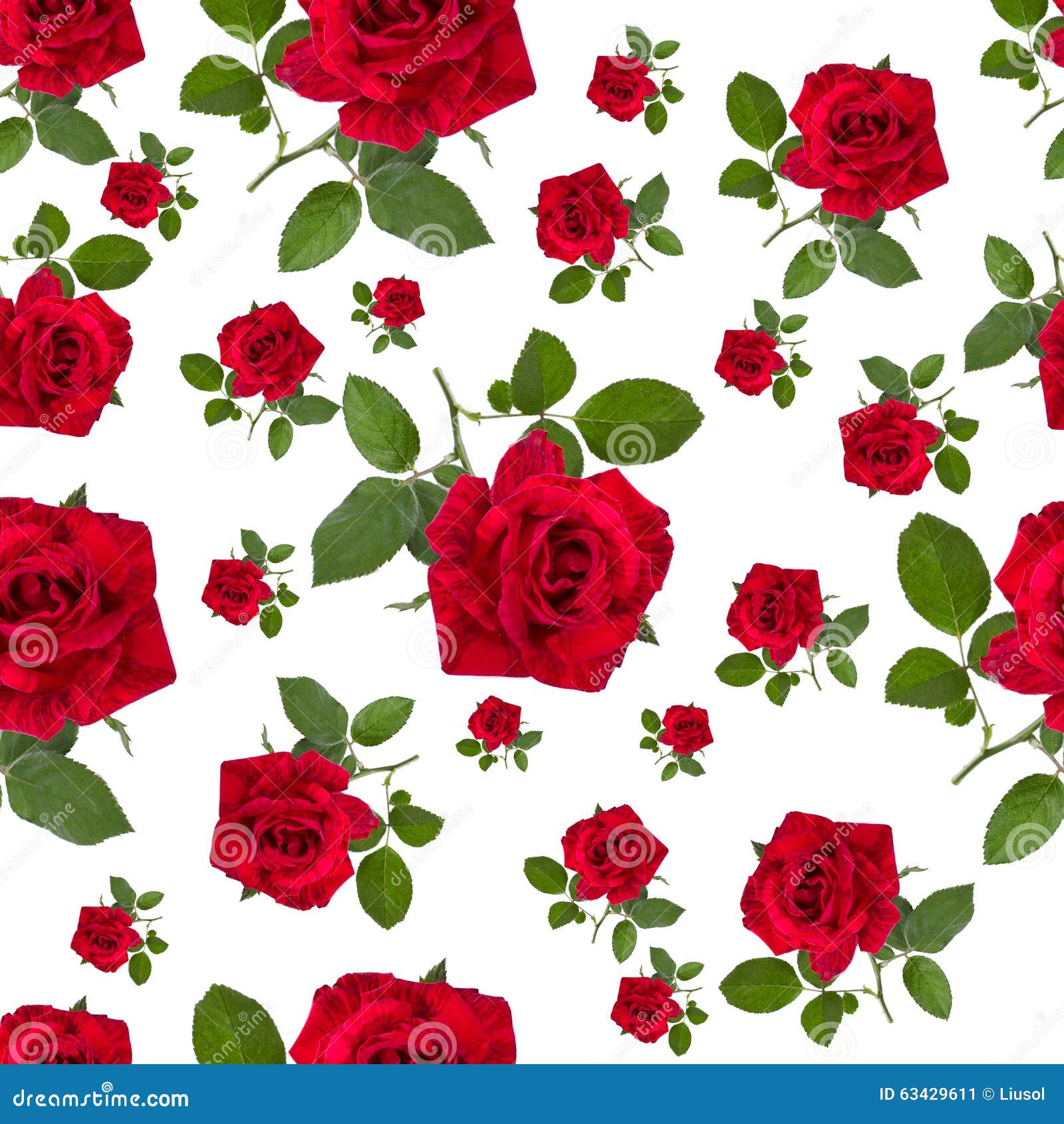 Seamless Pattern Red Tiger Rose Stock Image - Image of rose, fresh ...
