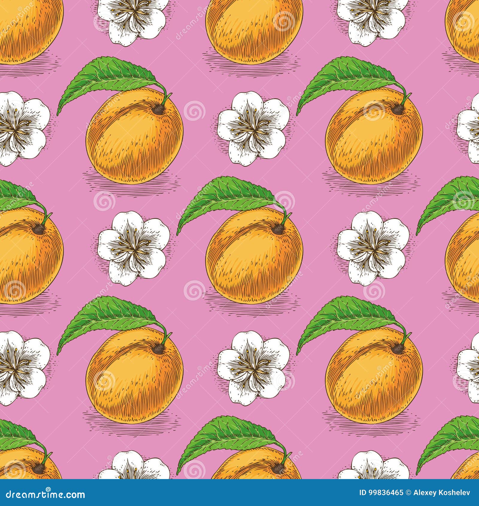 Seamless Pattern with Ripe Apricot Stock Vector - Illustration of ...